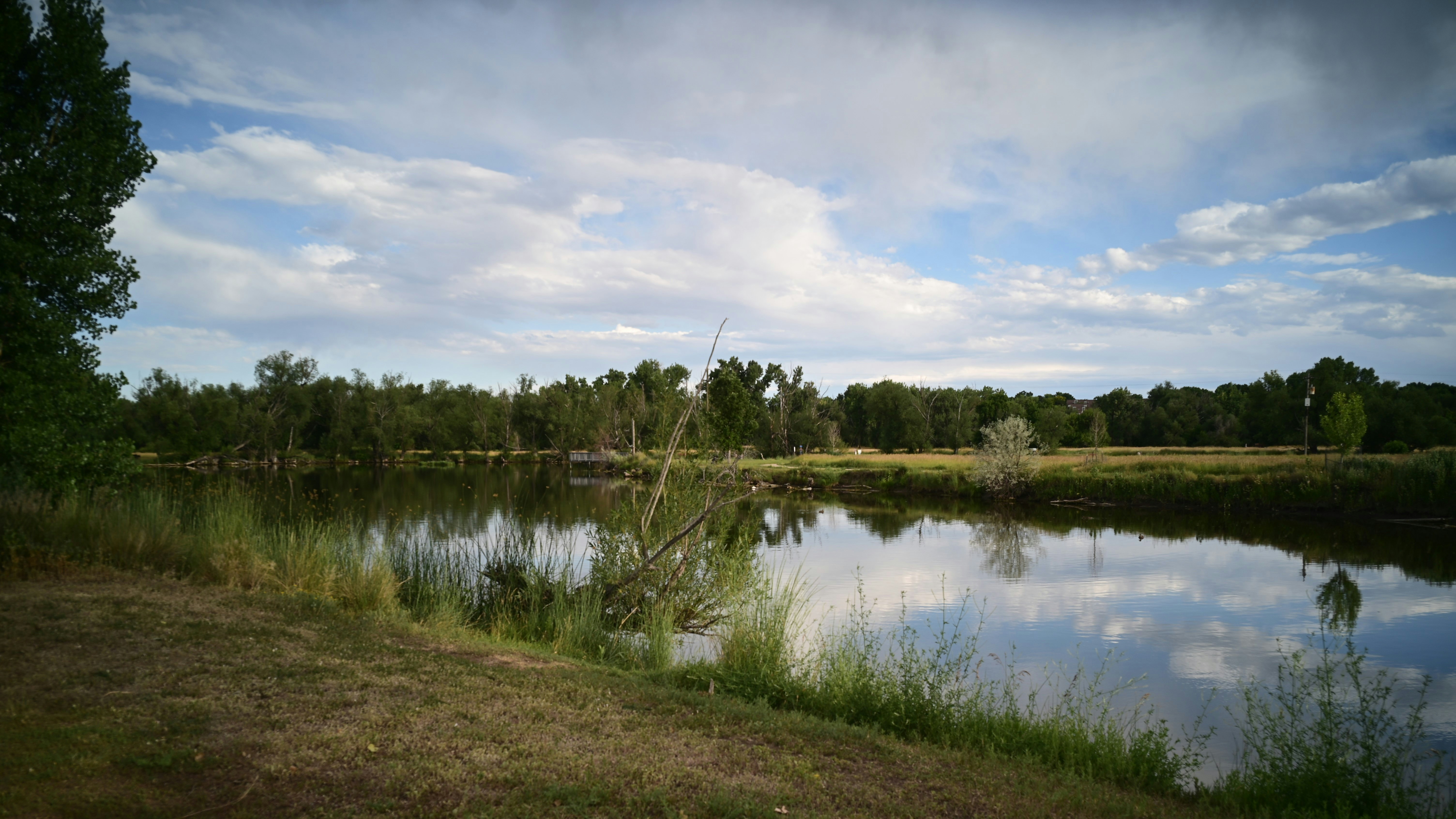 A calm lake reflects trees and a cloudy sky.