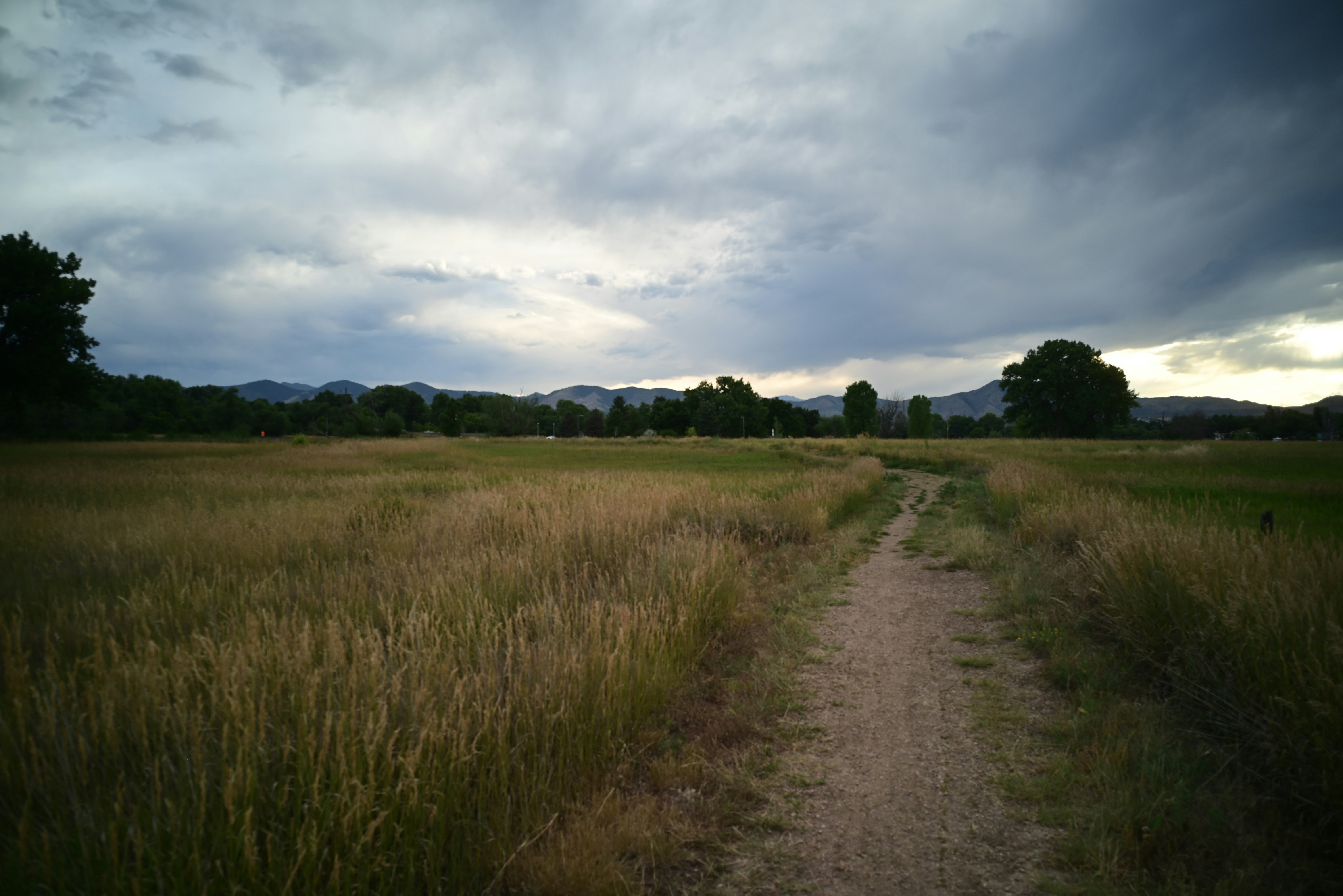 Whispers of the Wild Path