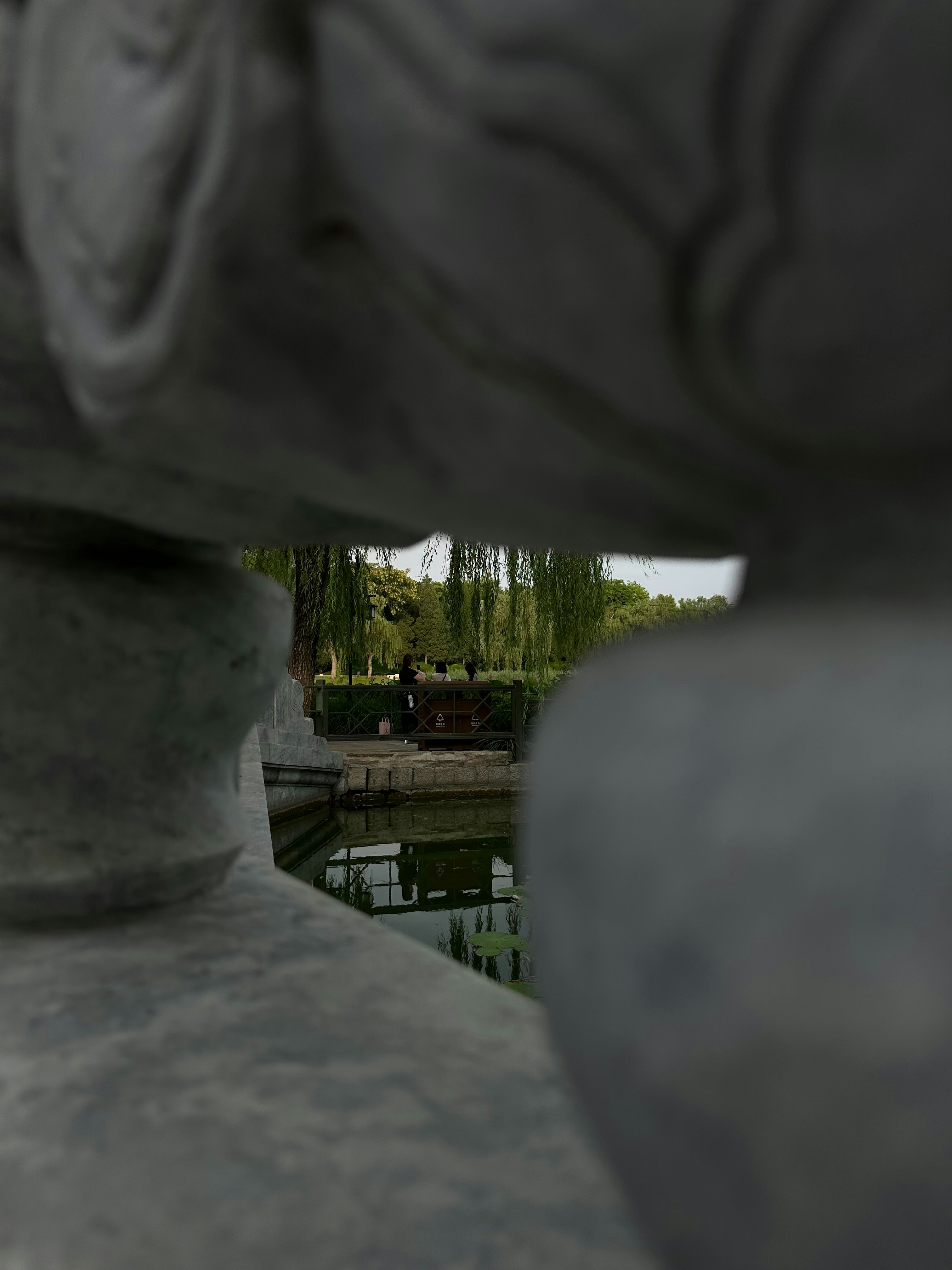 Whispers of Tranquility: A Hidden Reflection