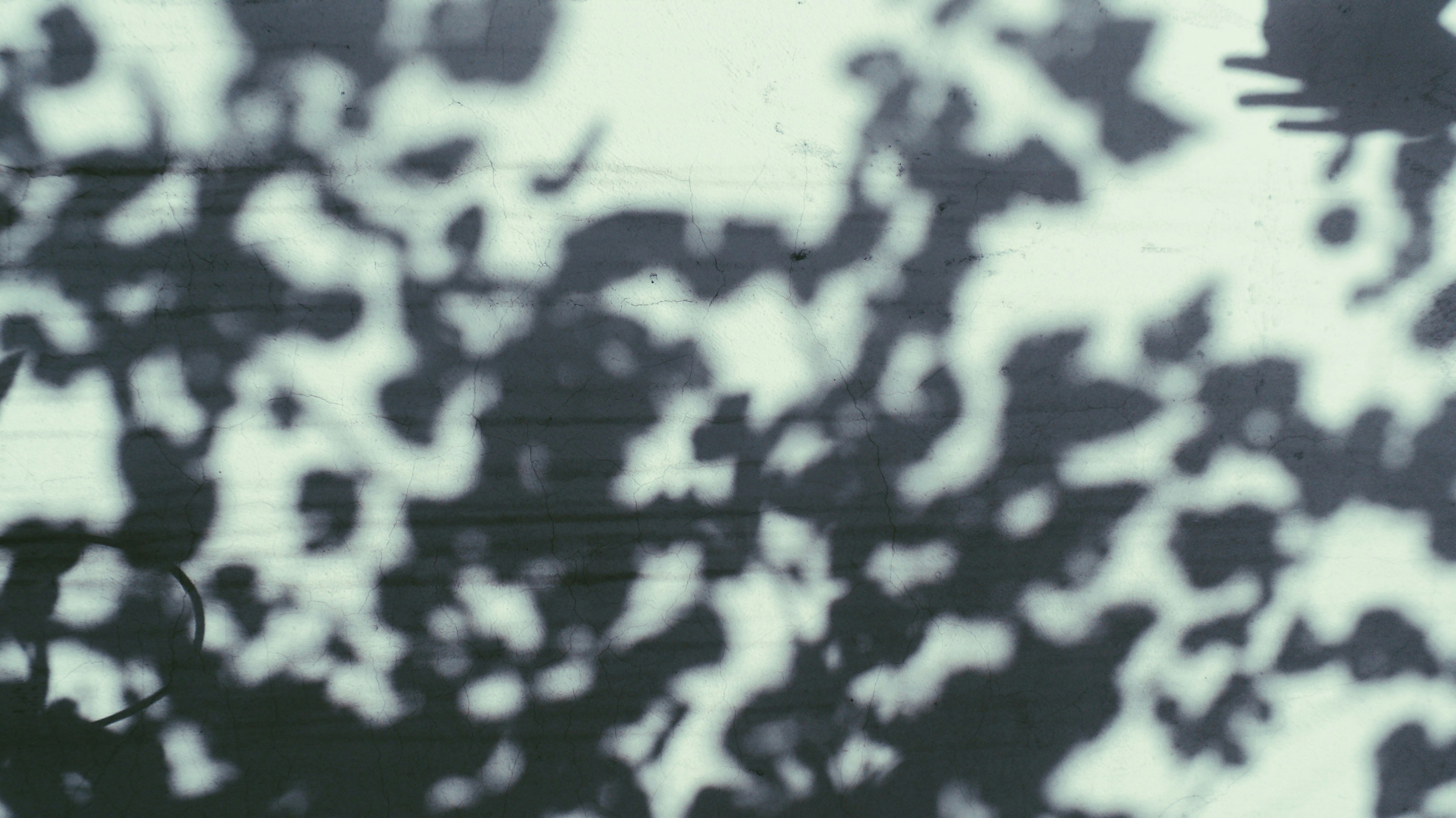 Intricate shadows cast by foliage create a dynamic pattern on a textured surface.