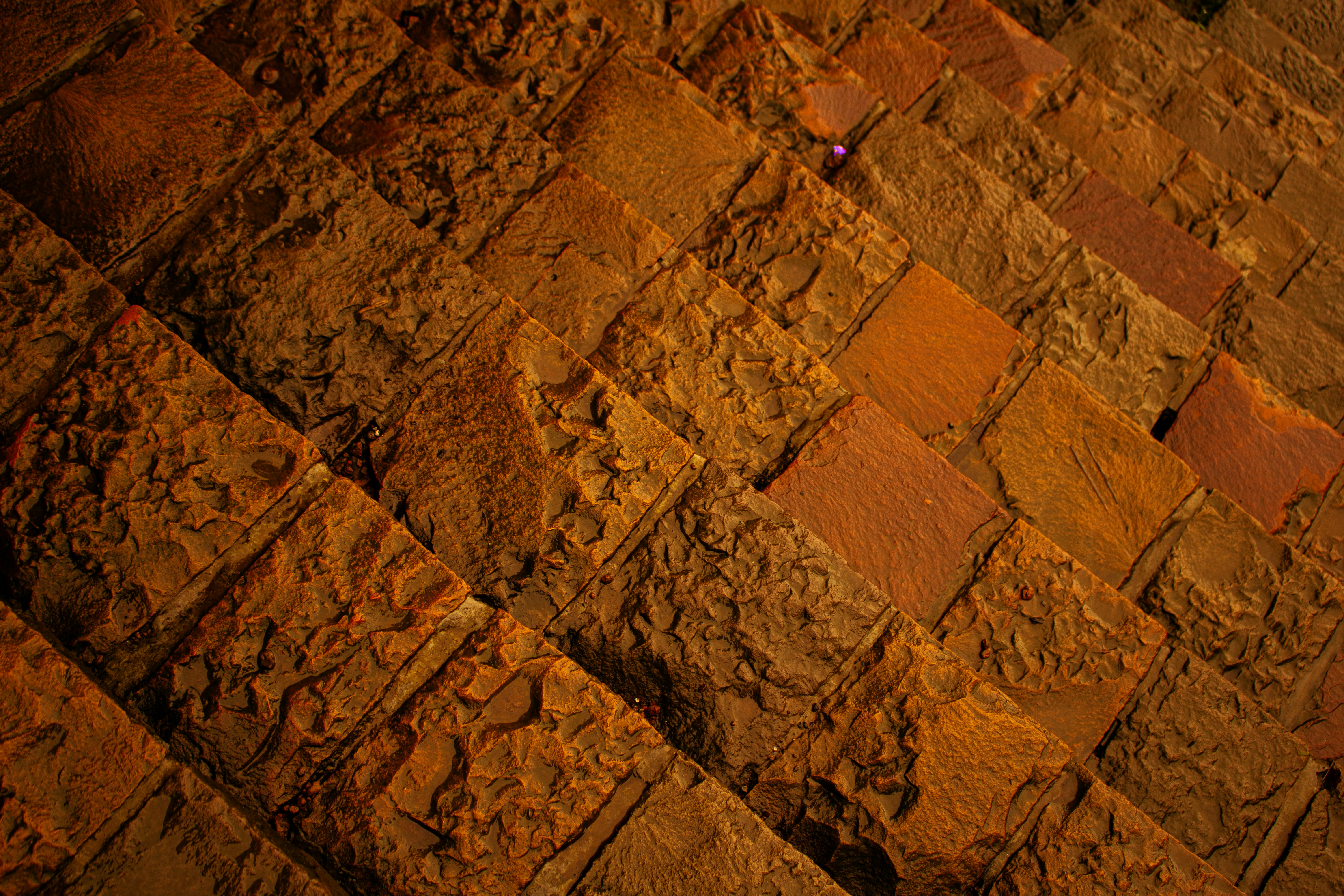 Textured Pathway: A Journey Through Earthy Tones