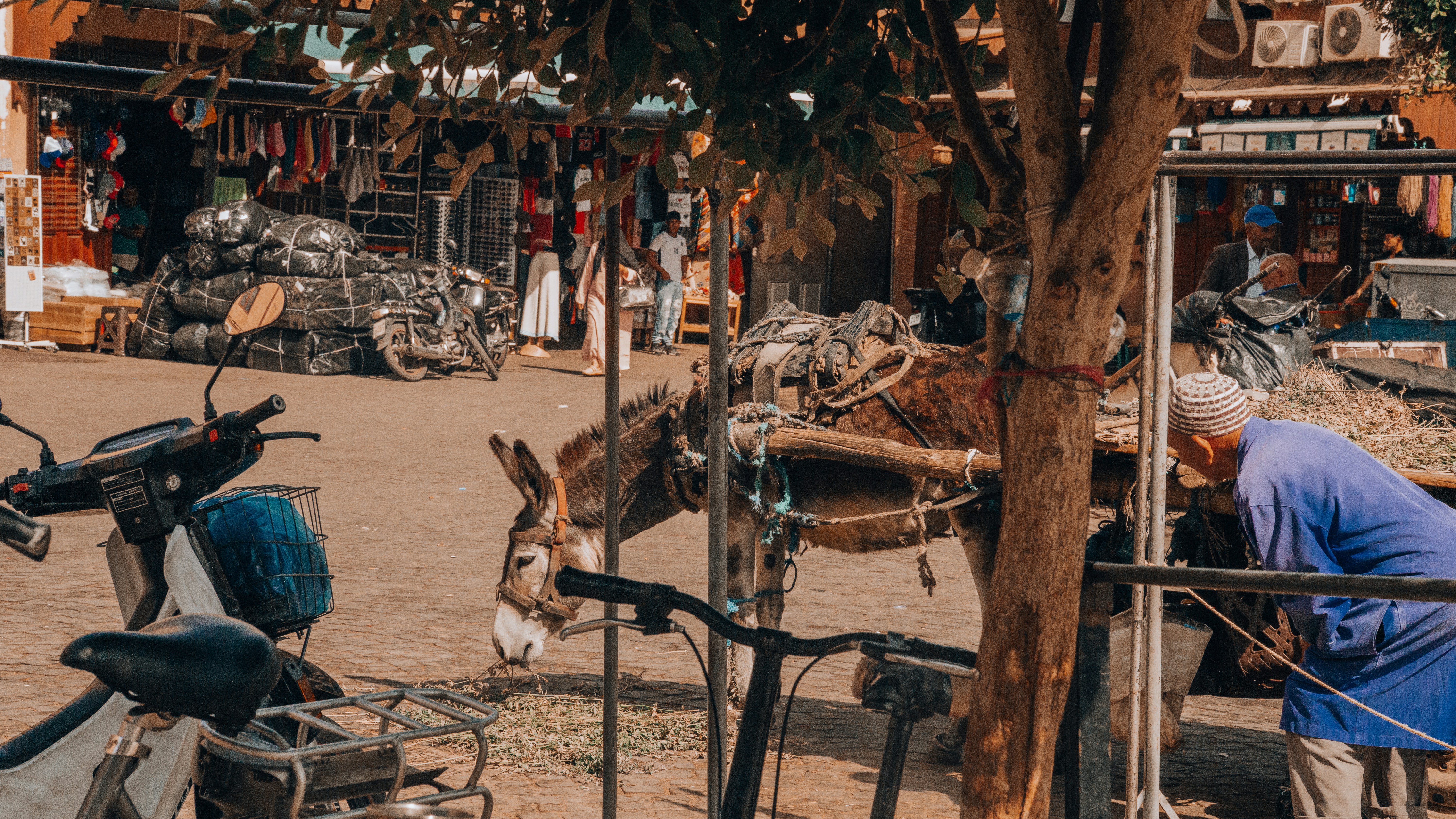 A donkey stands in a bustling market, surrounded by various goods and people engaged in daily activities. The scene captures the essence of local commerce and community interaction.