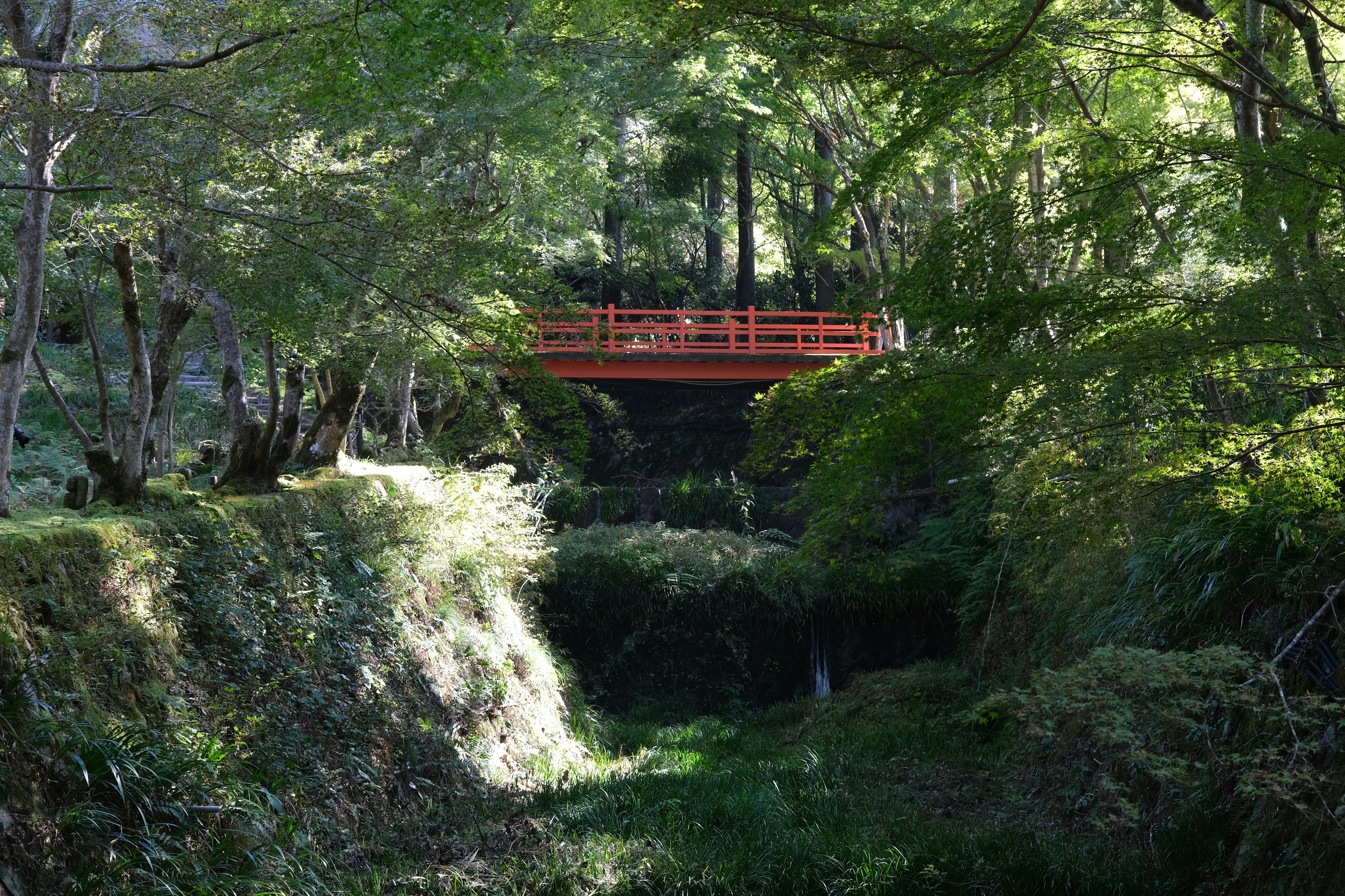 Crimson Serenity: A Bridge Amidst Nature's Embrace