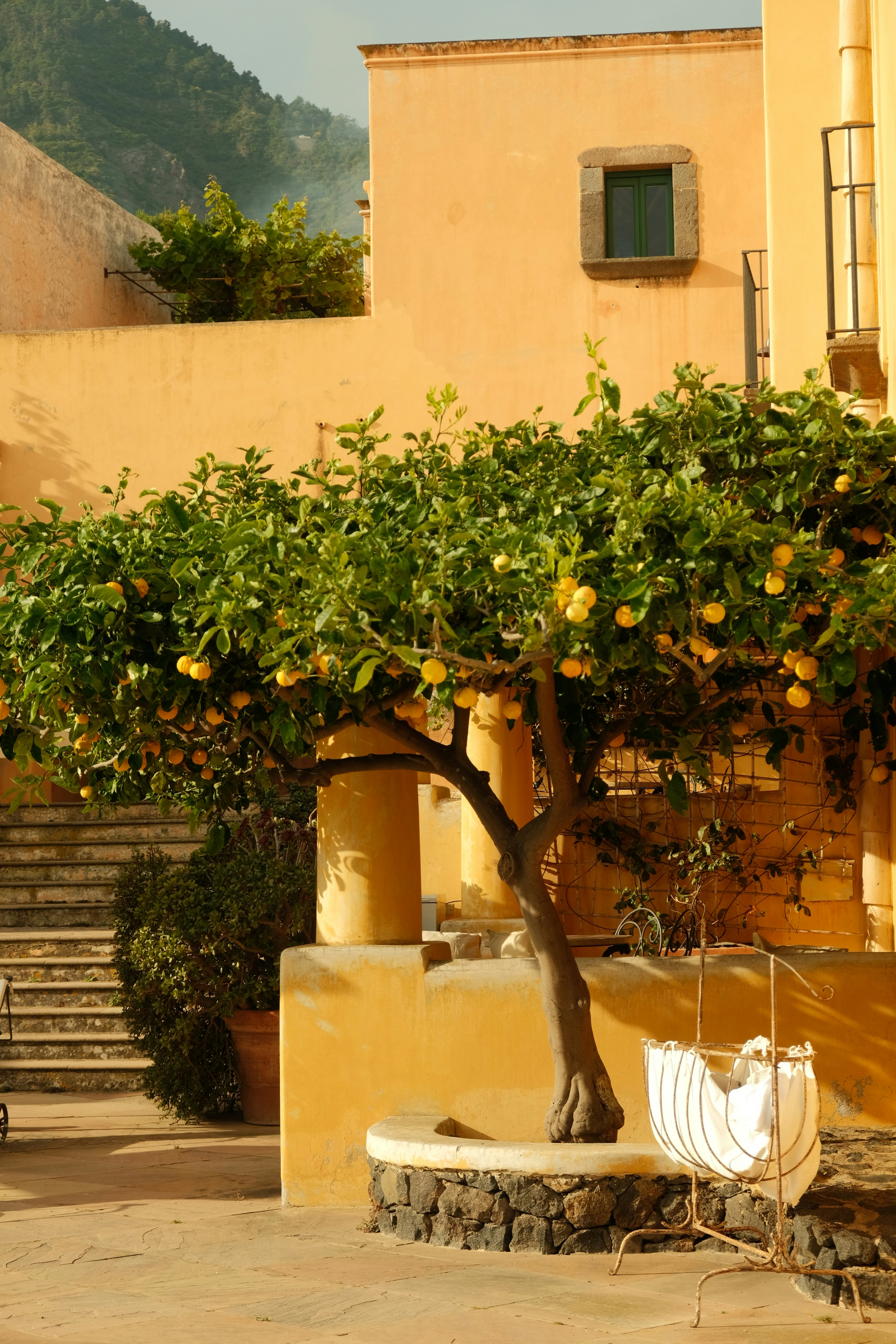 Lush lemon tree laden with fruit in a warm, sunlit courtyard surrounded by rustic architecture. The ambiance reflects a tranquil Mediterranean setting.