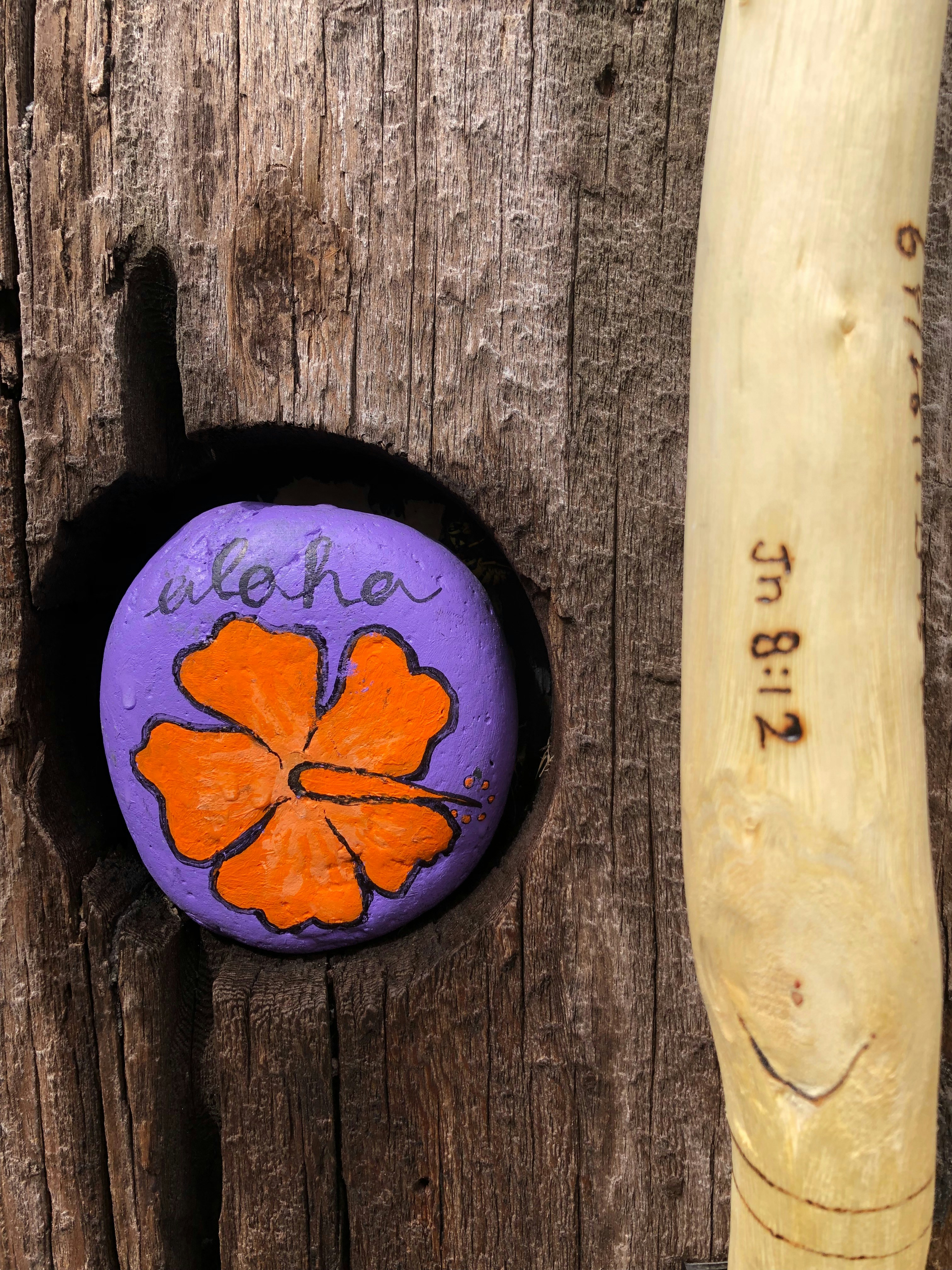 Purple button with orange hibiscus resting in weathered wood beside a carved cane