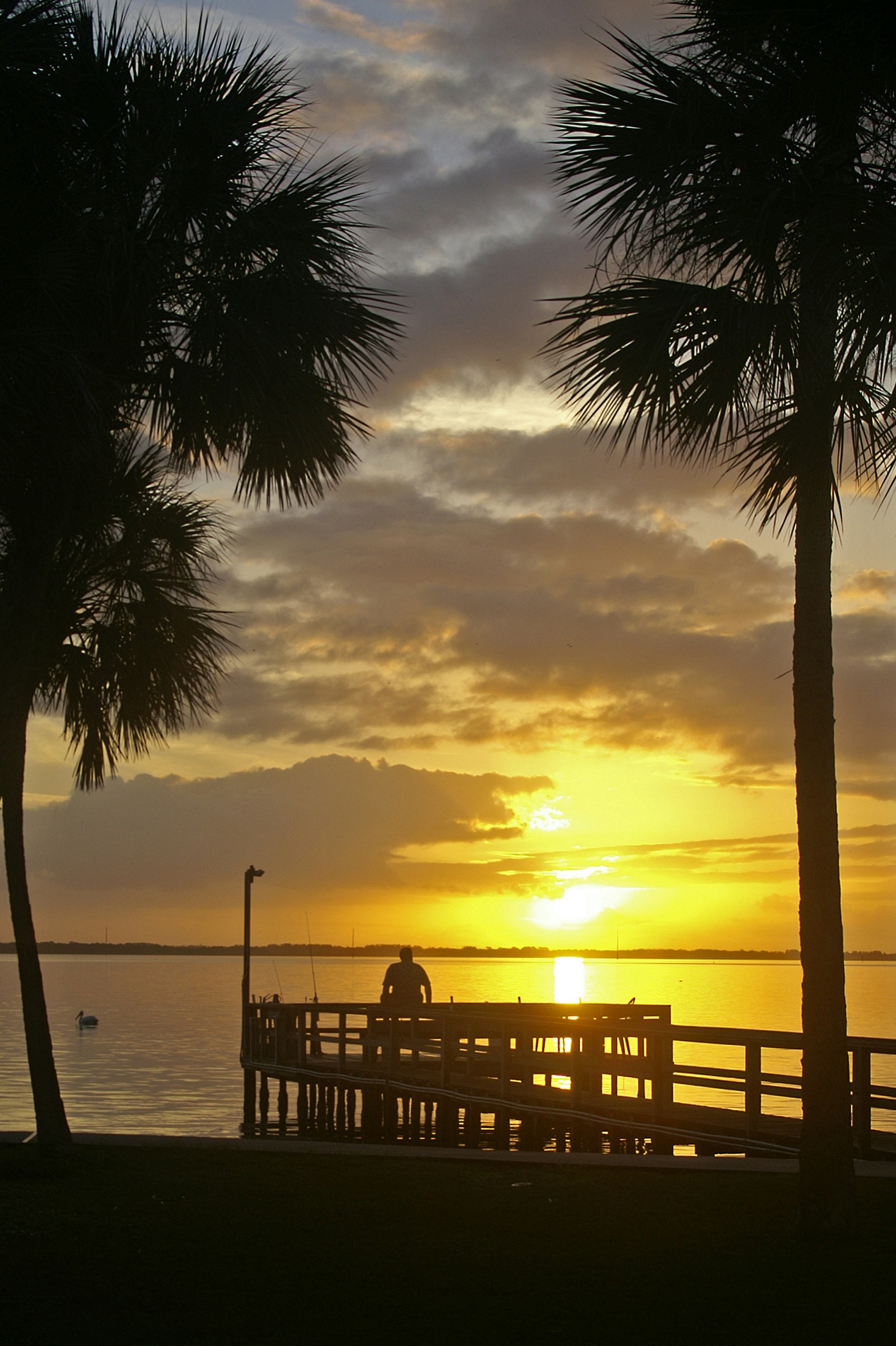 A fisherman is watching the sunrise over the Indian River Lagoon, FL | Sunset at the pier, framed by palm trees.