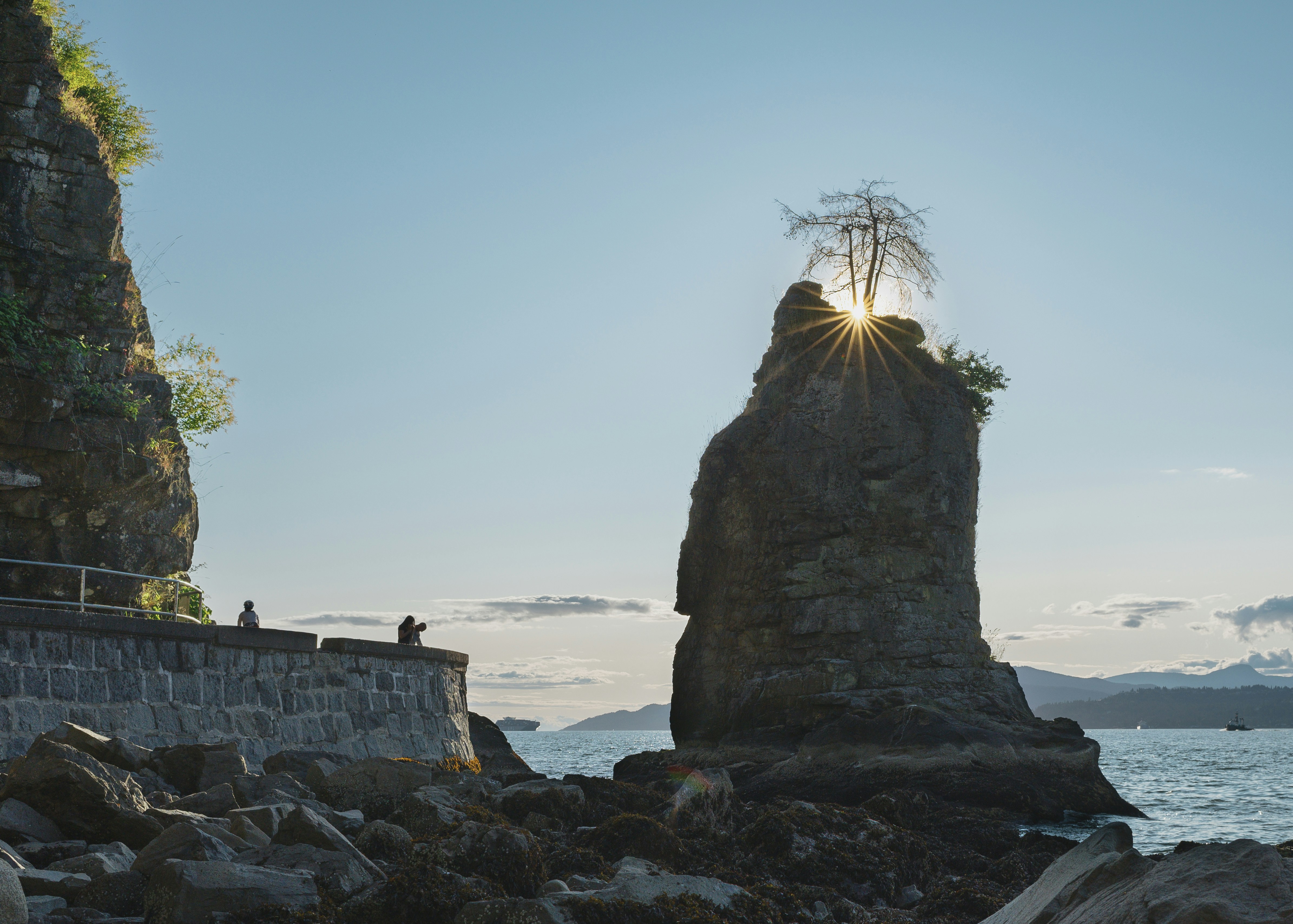 Sunburst Seastack: Lone Tree Crowned on a Coastal Pillar