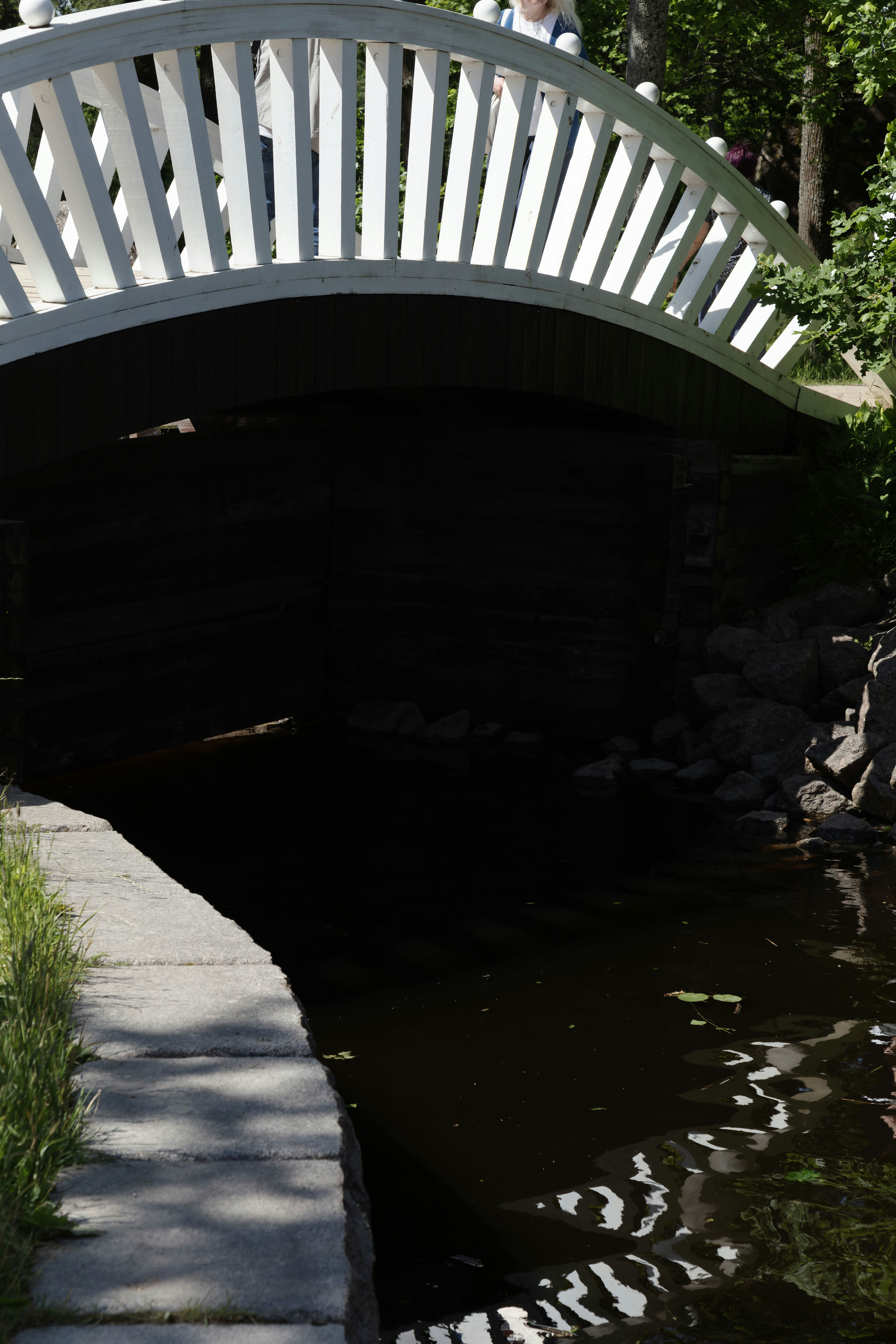 Whispers Beneath the Bridge