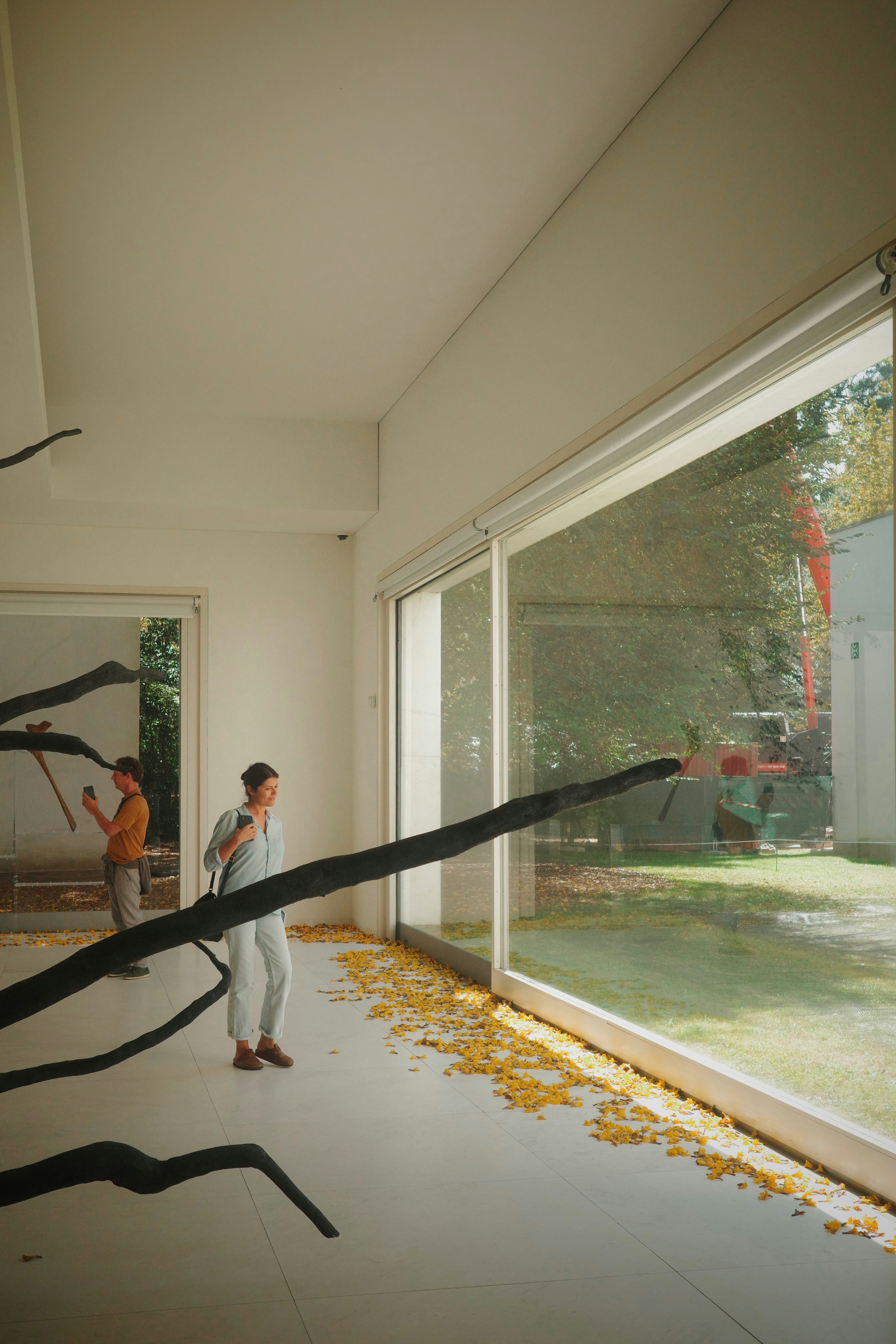 Nature's Embrace: A Harmonious Interaction