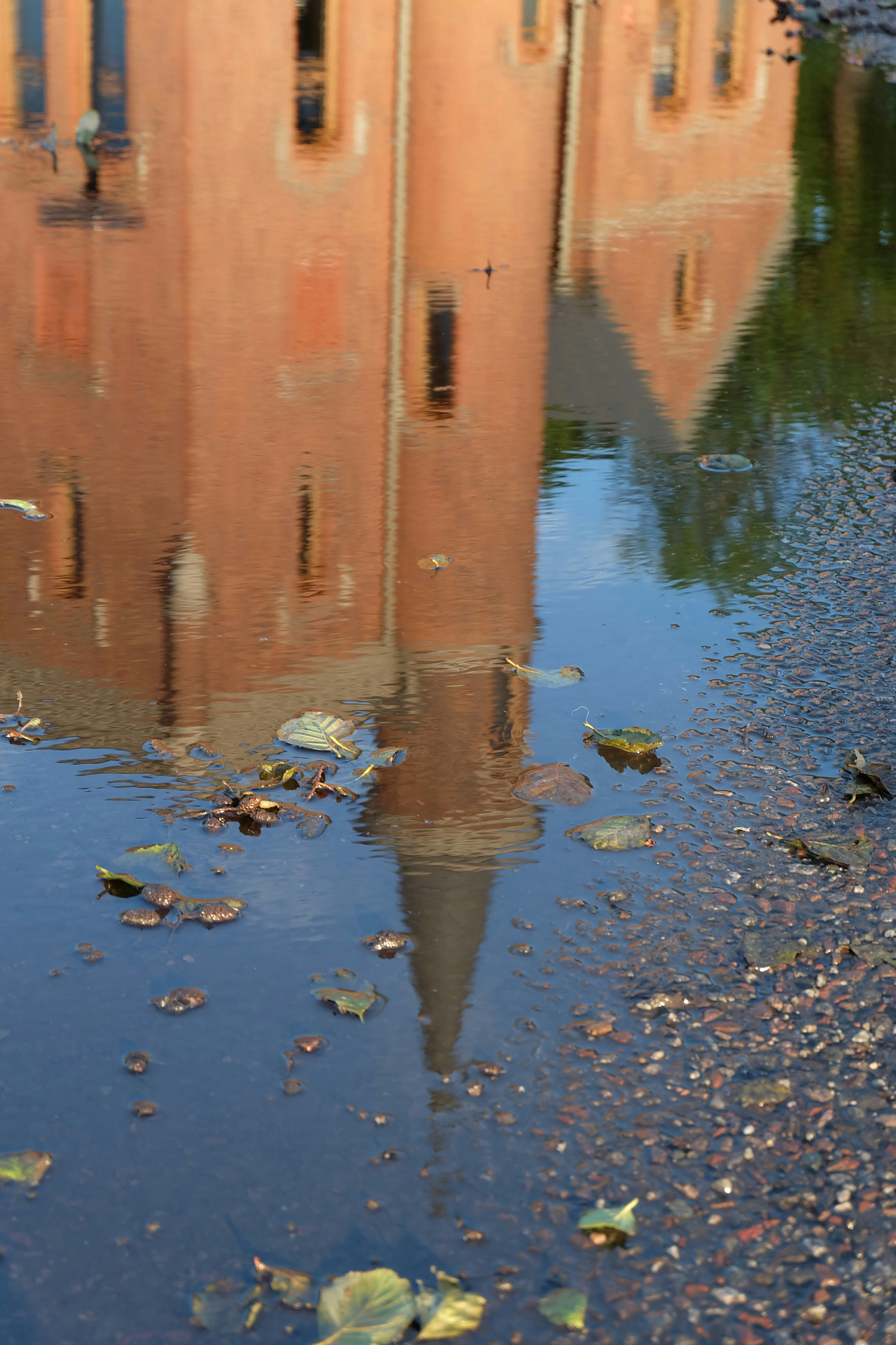 Historic building reflected in a tranquil puddle, surrounded by fallen leaves. The scene captures a moment of stillness and nostalgia.