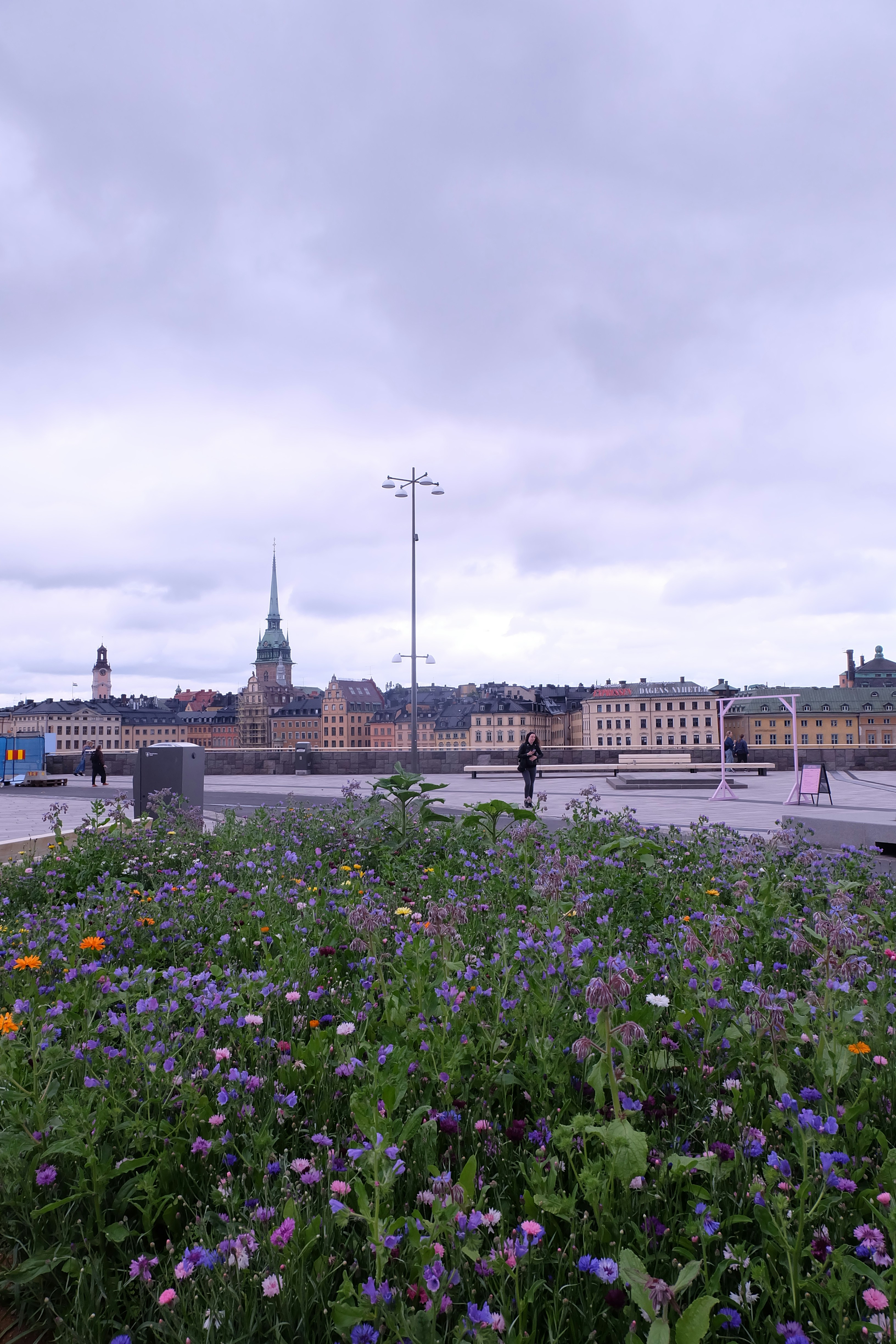 Flowers bloom in front of a cityscape.