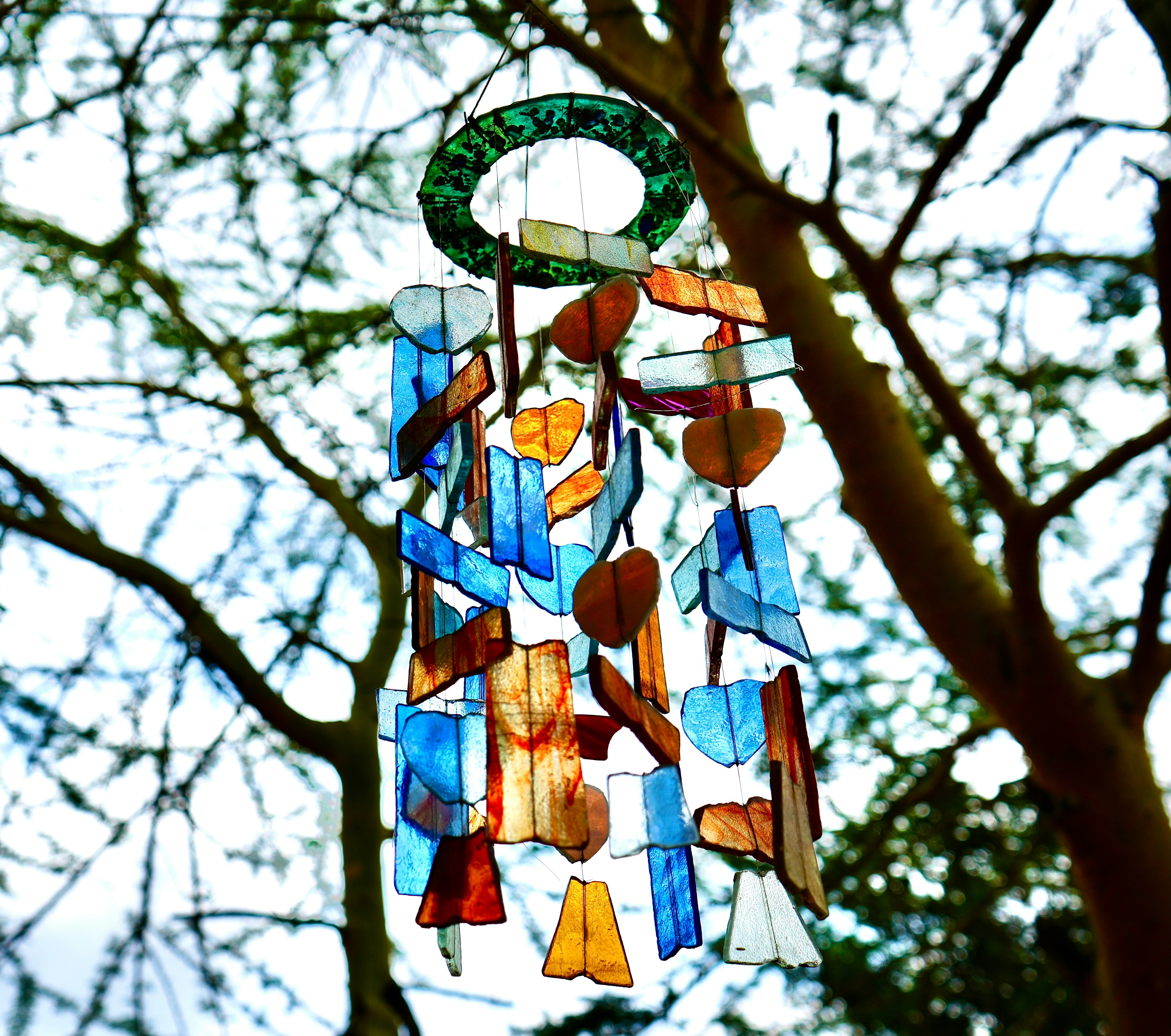 Colorful wind chime made of glass pieces hanging amidst tree branches, reflecting light and creating a serene atmosphere.
