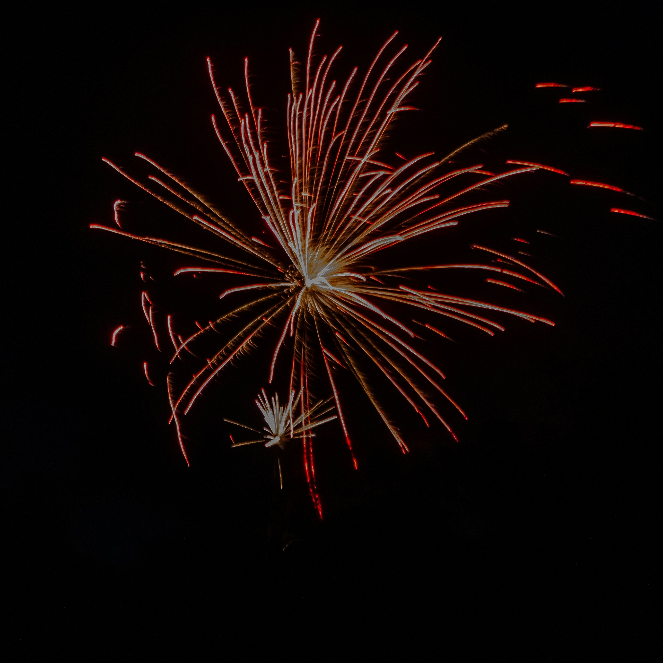Colorful fireworks exploding against a dark sky, showcasing intricate patterns and vibrant hues.