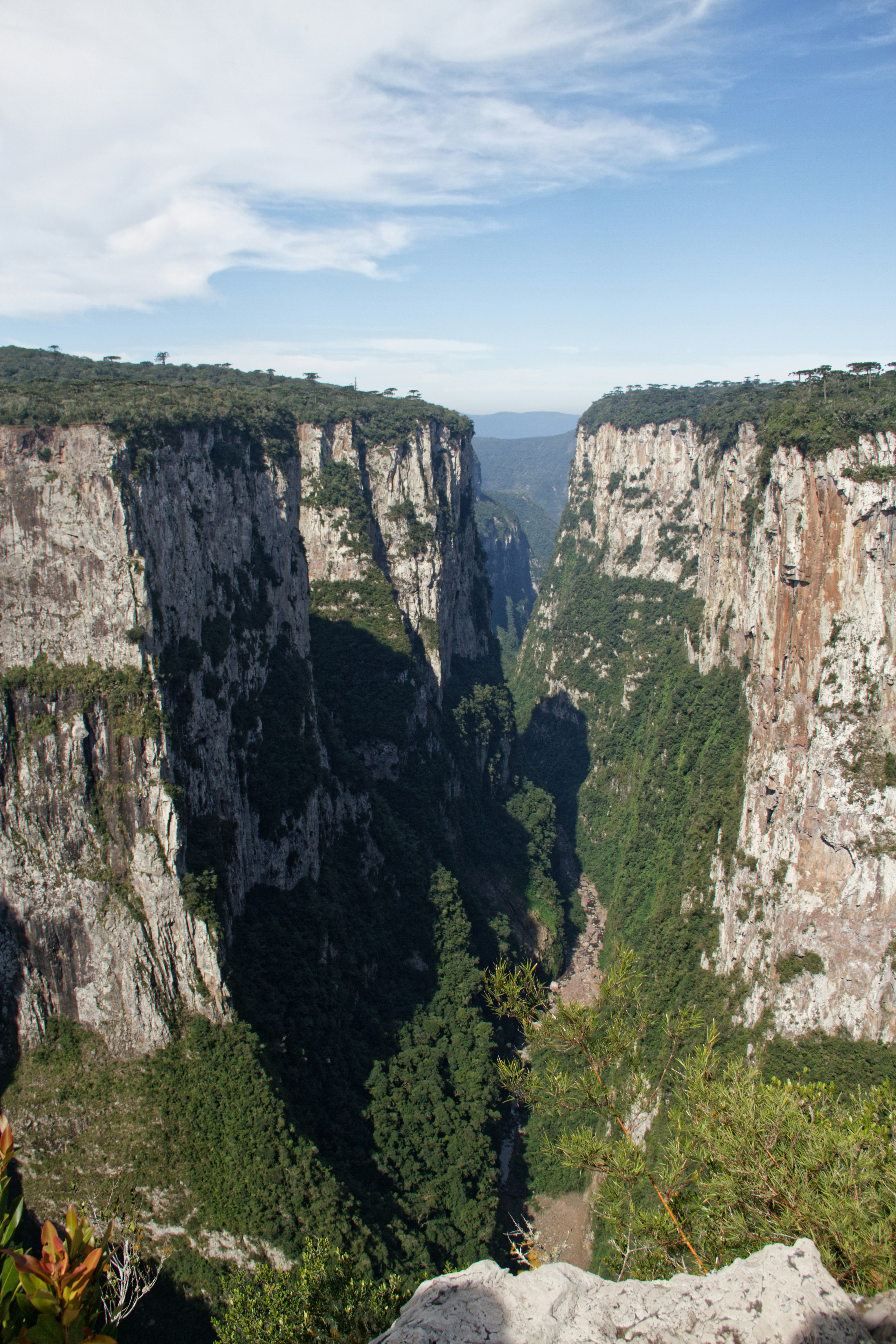 Vast canyon landscape revealing steep cliffs and lush greenery below, under a clear blue sky.