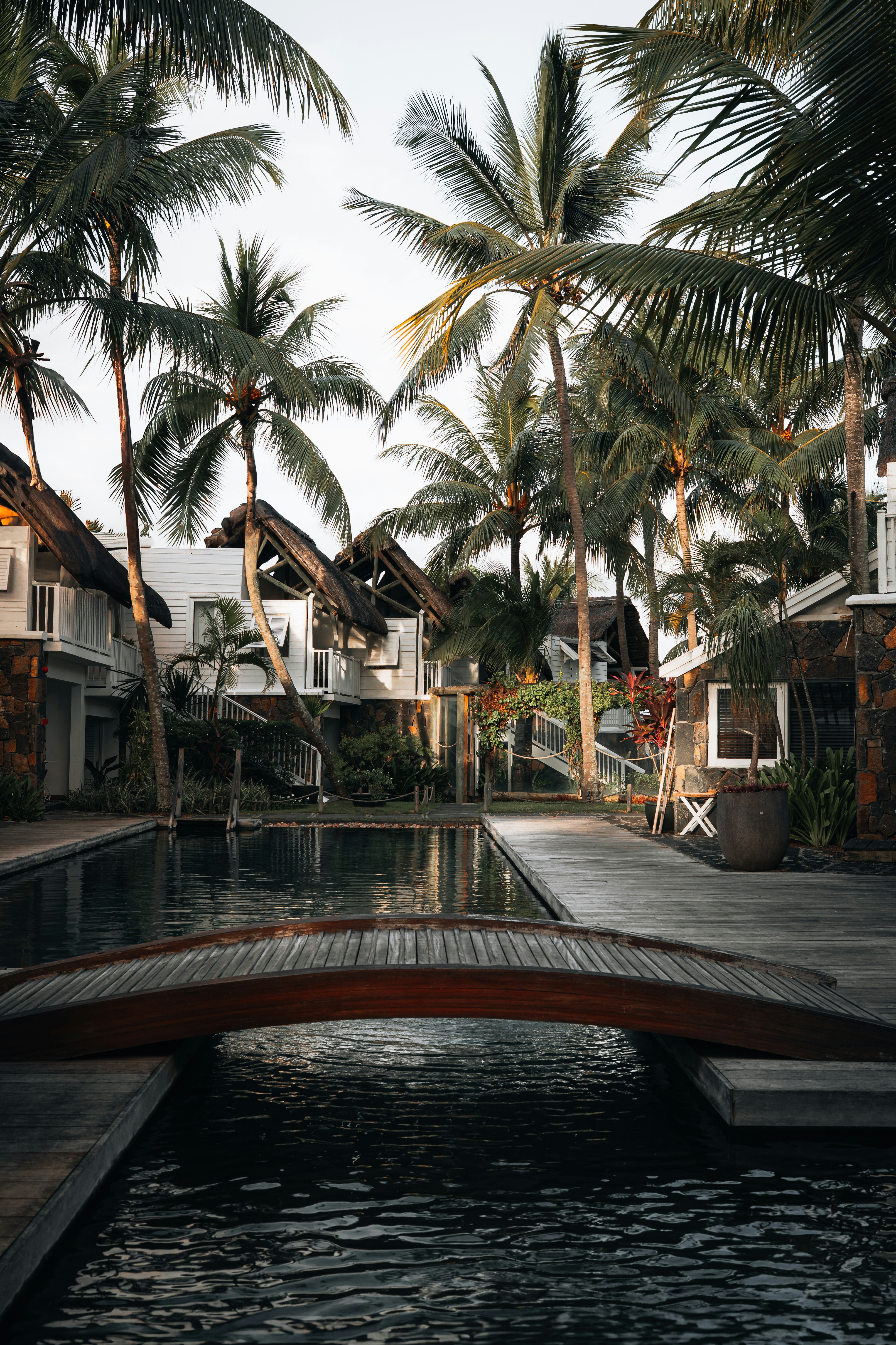 Serenity Under Palm Canopies