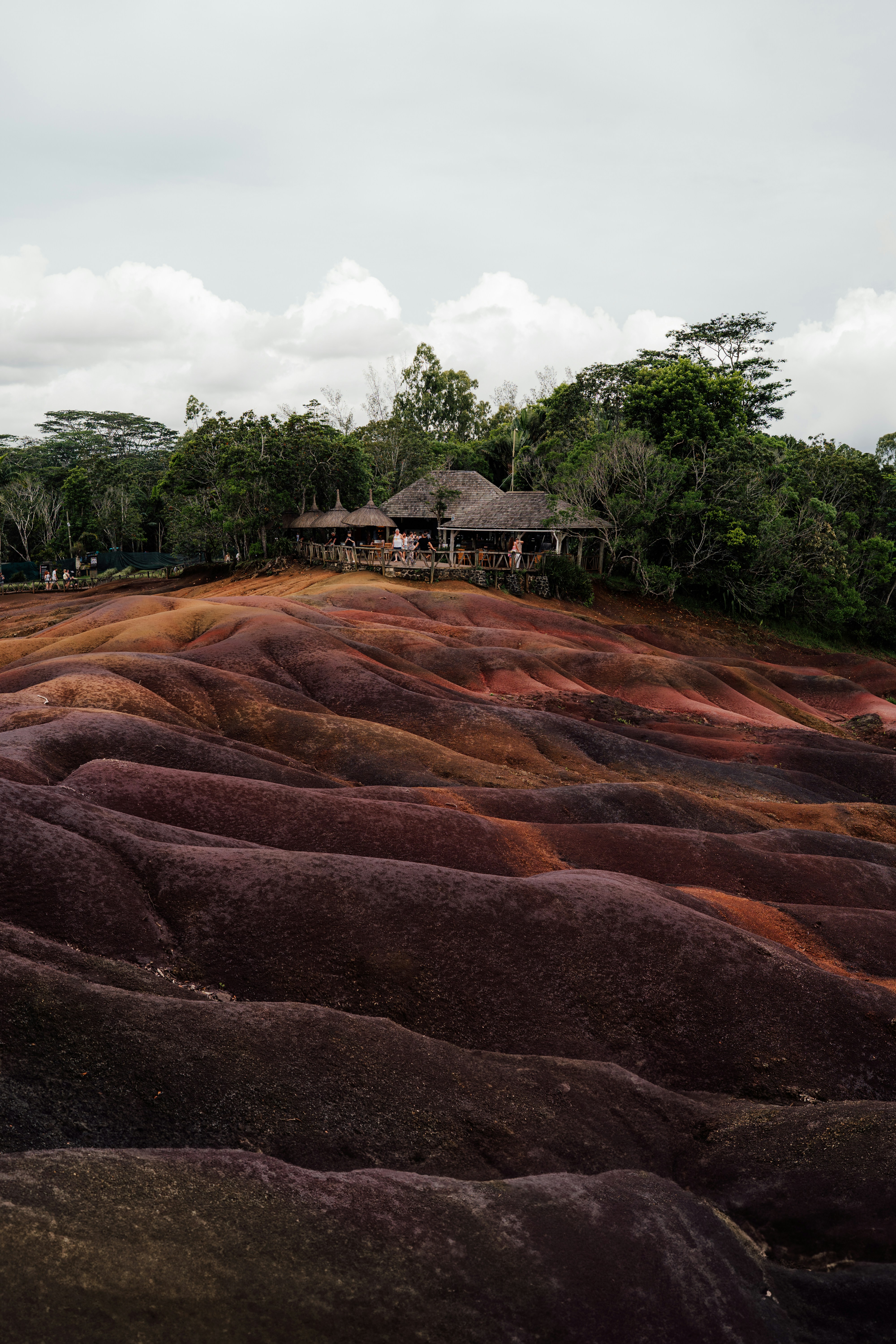 Waves of Earth: The Colorful Landscape of Nature's Palette