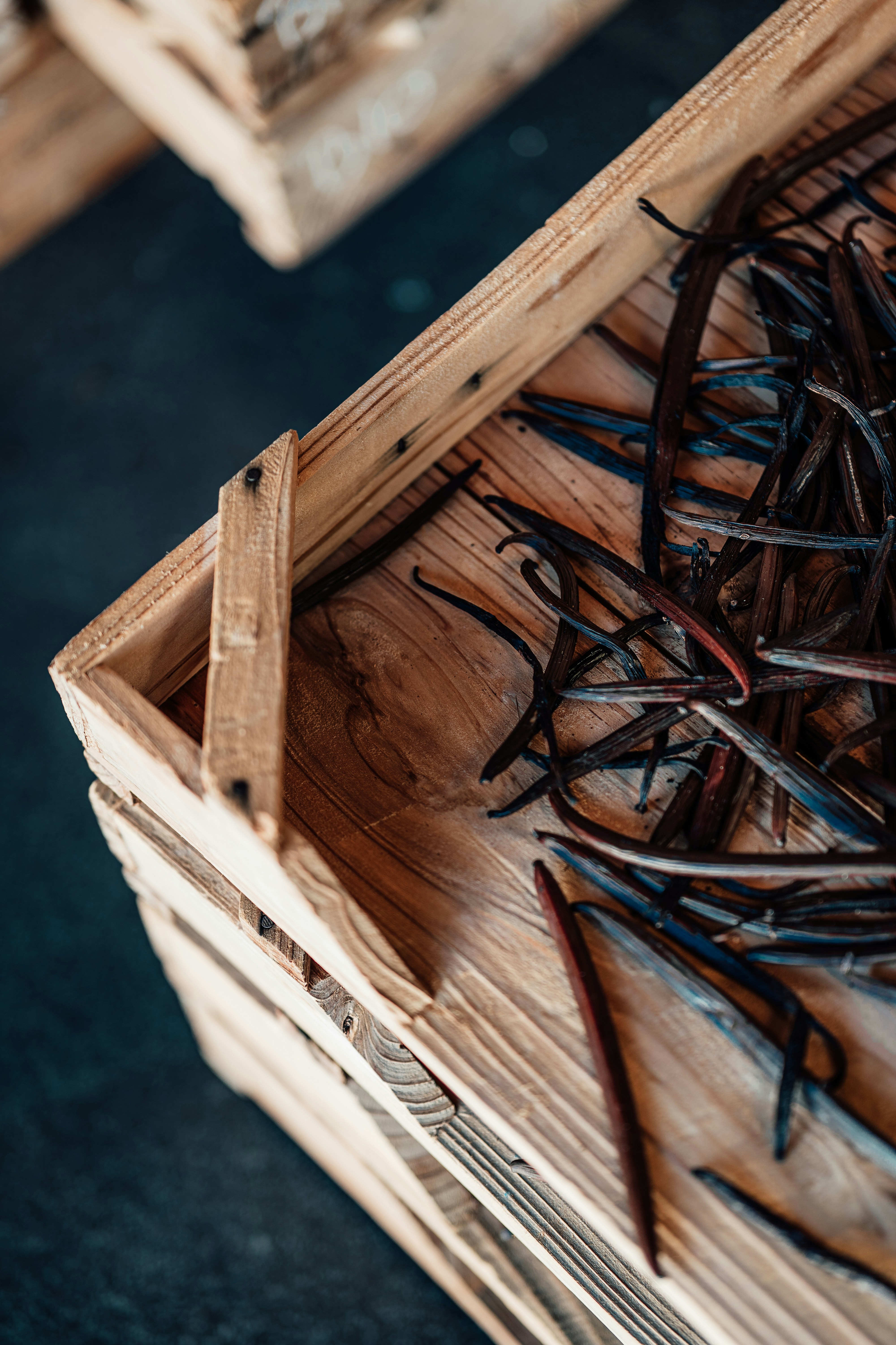 Curved Red Sprigs in a Wooden Crate