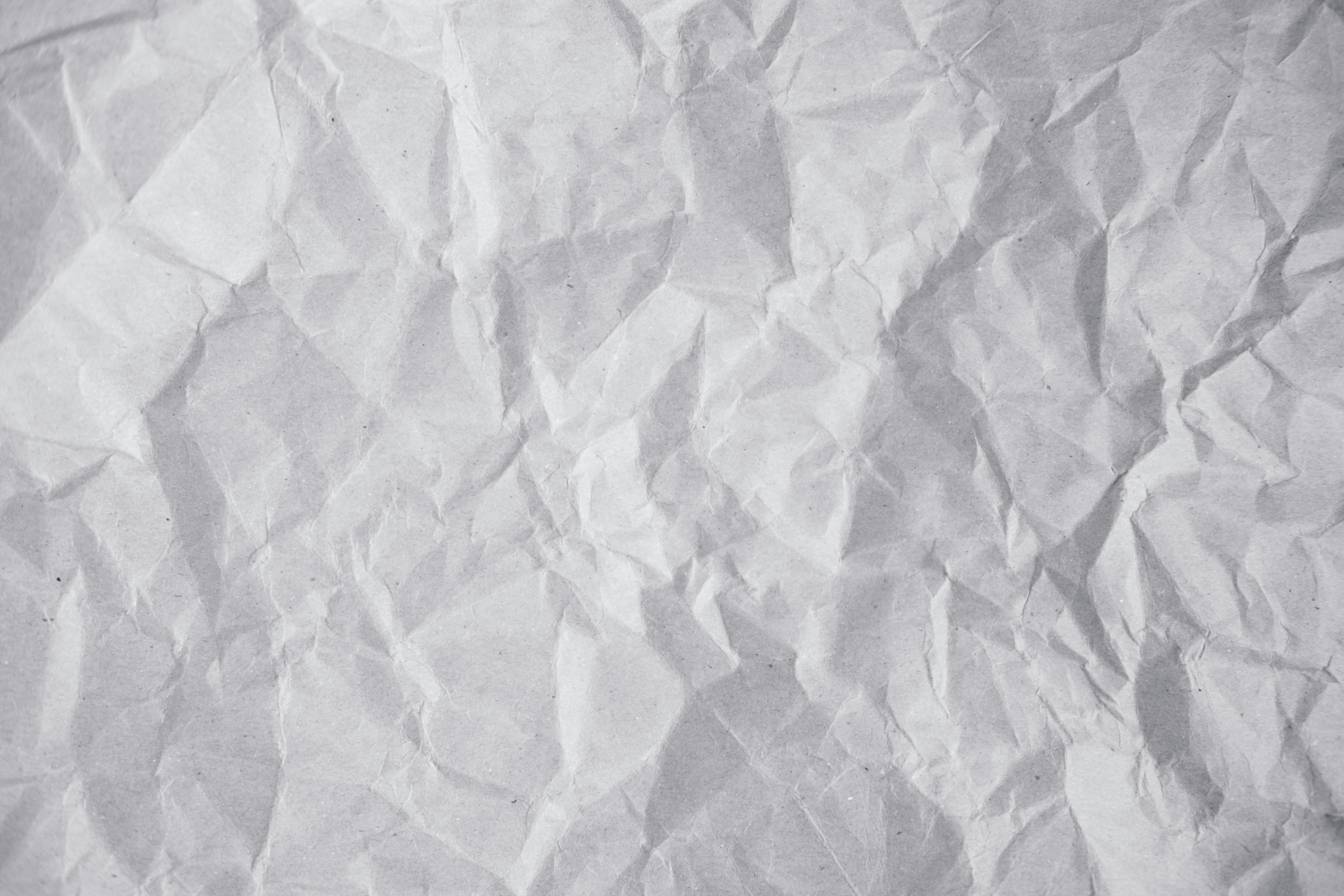 Crumpled white paper texture fills the whole frame. photo – Free ...