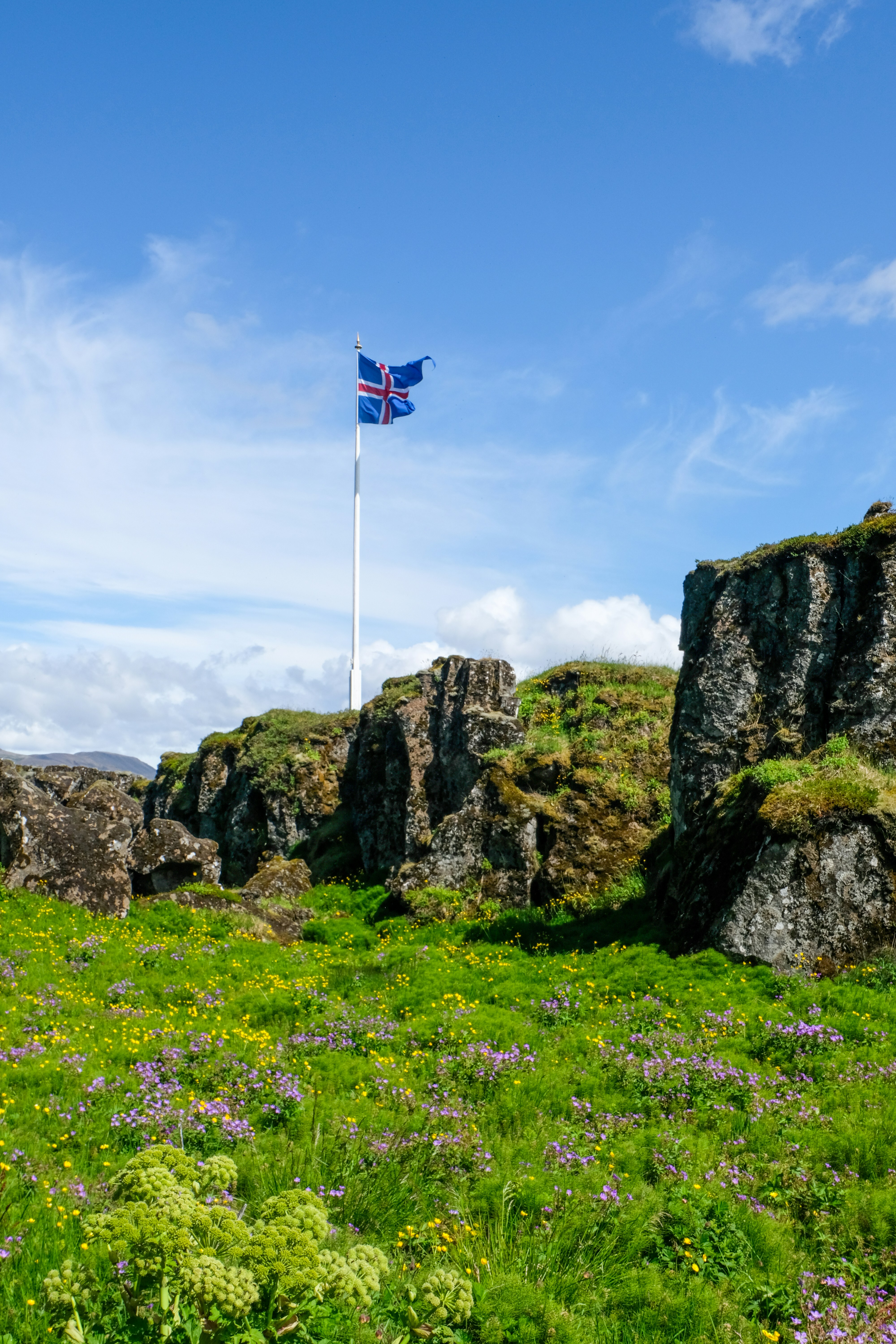 Flagpole on Windswept Basalt Cliffs Above a Meadow of Spring Blooms