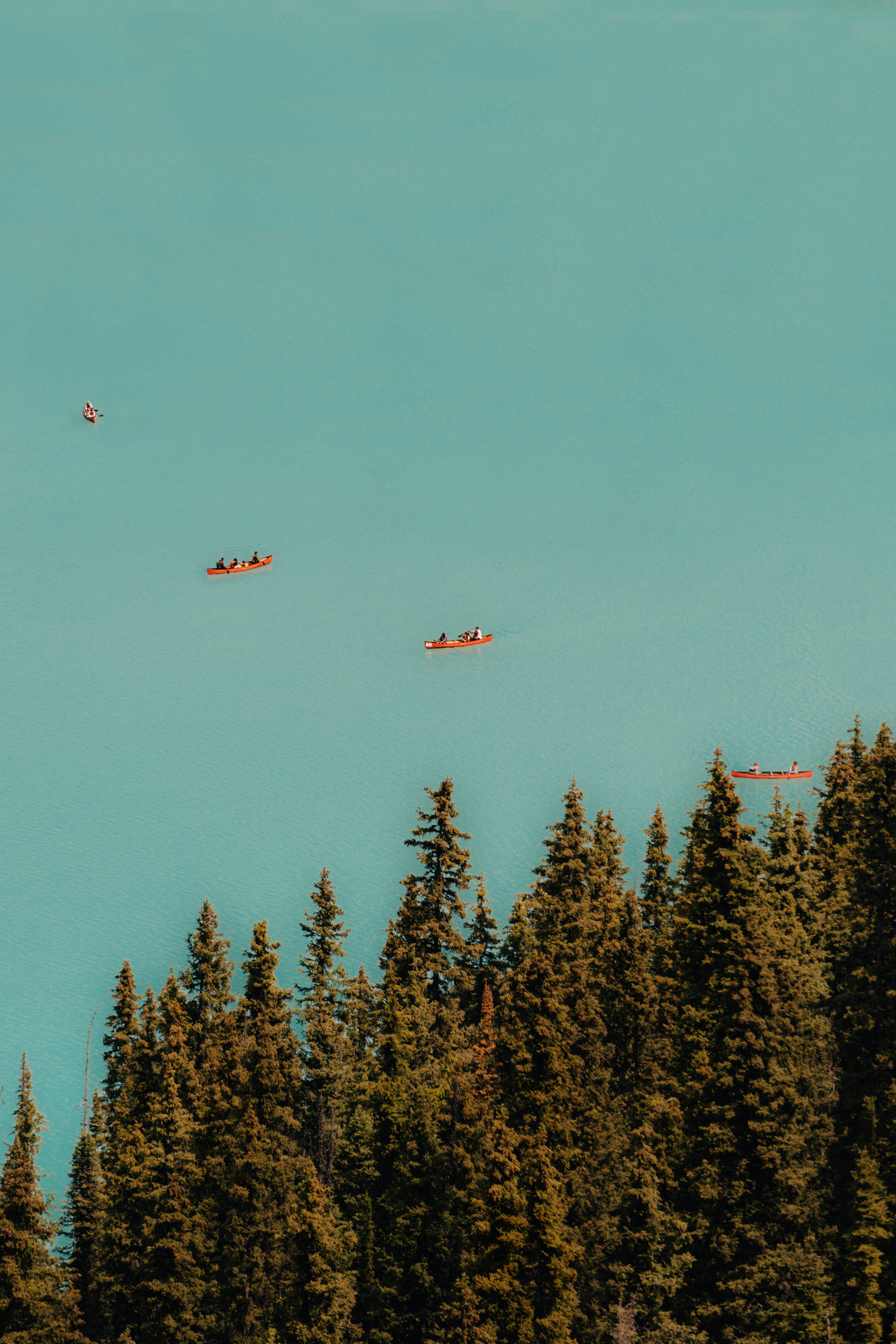 Kayaks paddle on turquoise water near green trees.