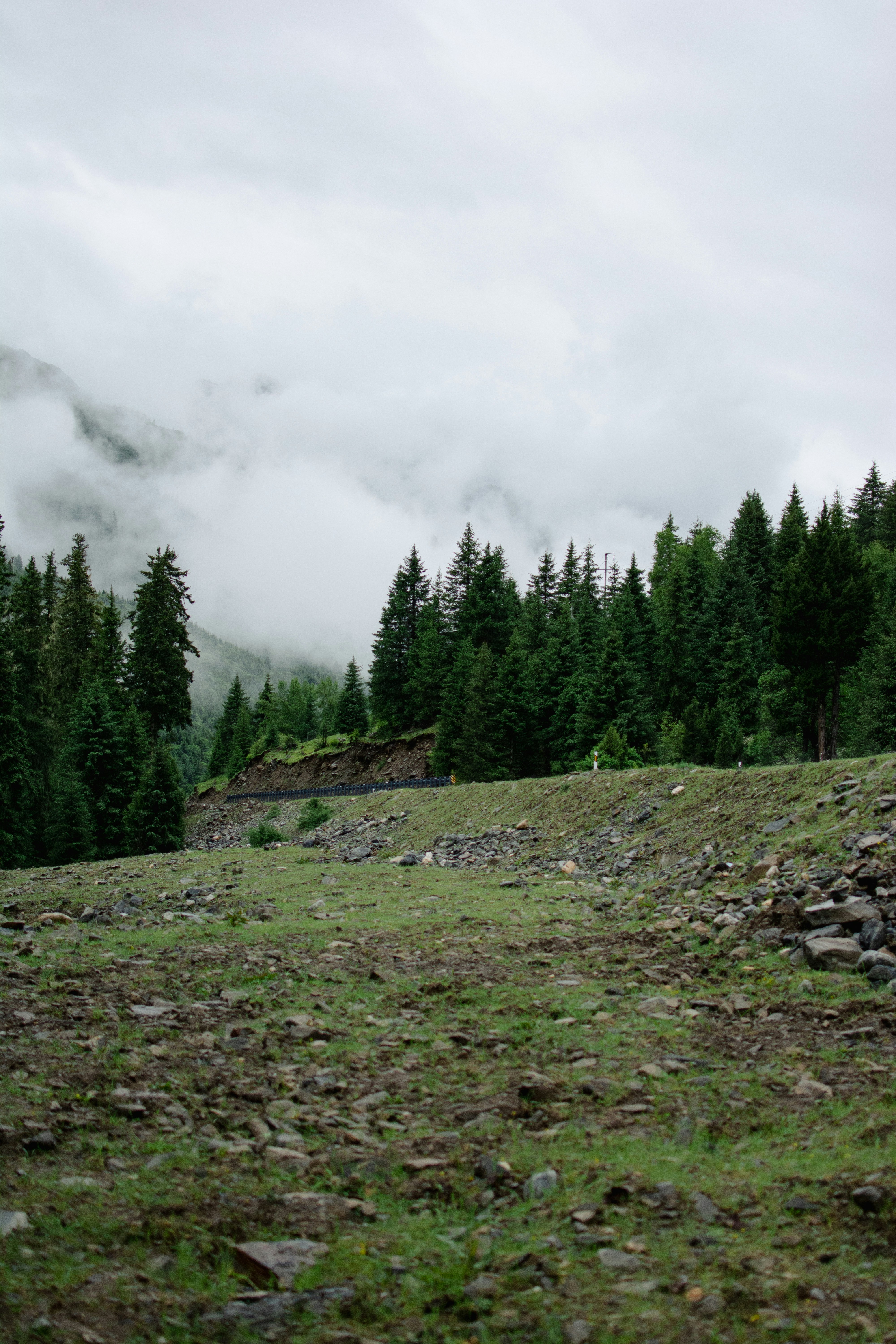 Clouds roll over a forest-covered mountain landscape. photo – Free ...