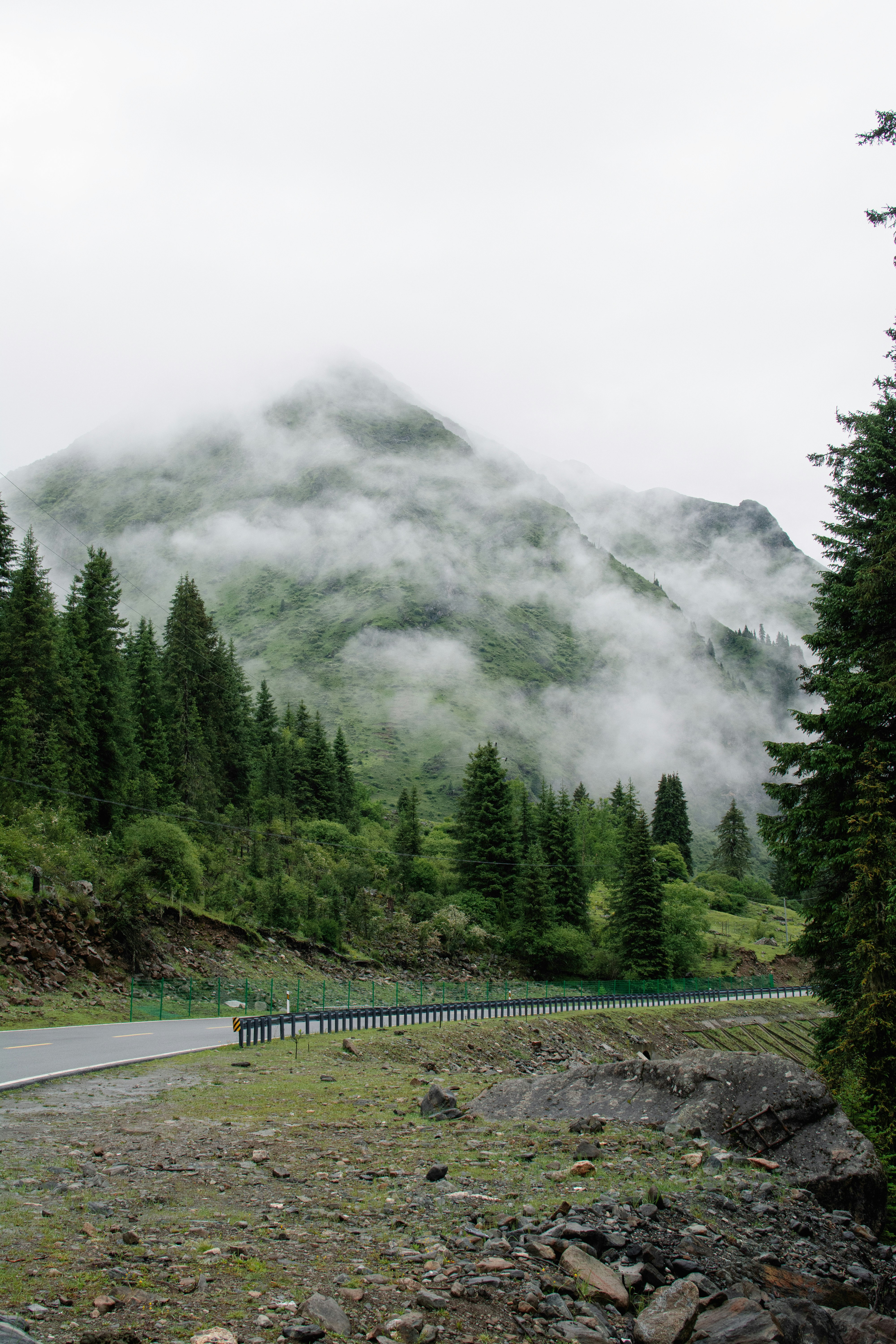A foggy mountain road winds through a forest. photo – Free Forest Image ...