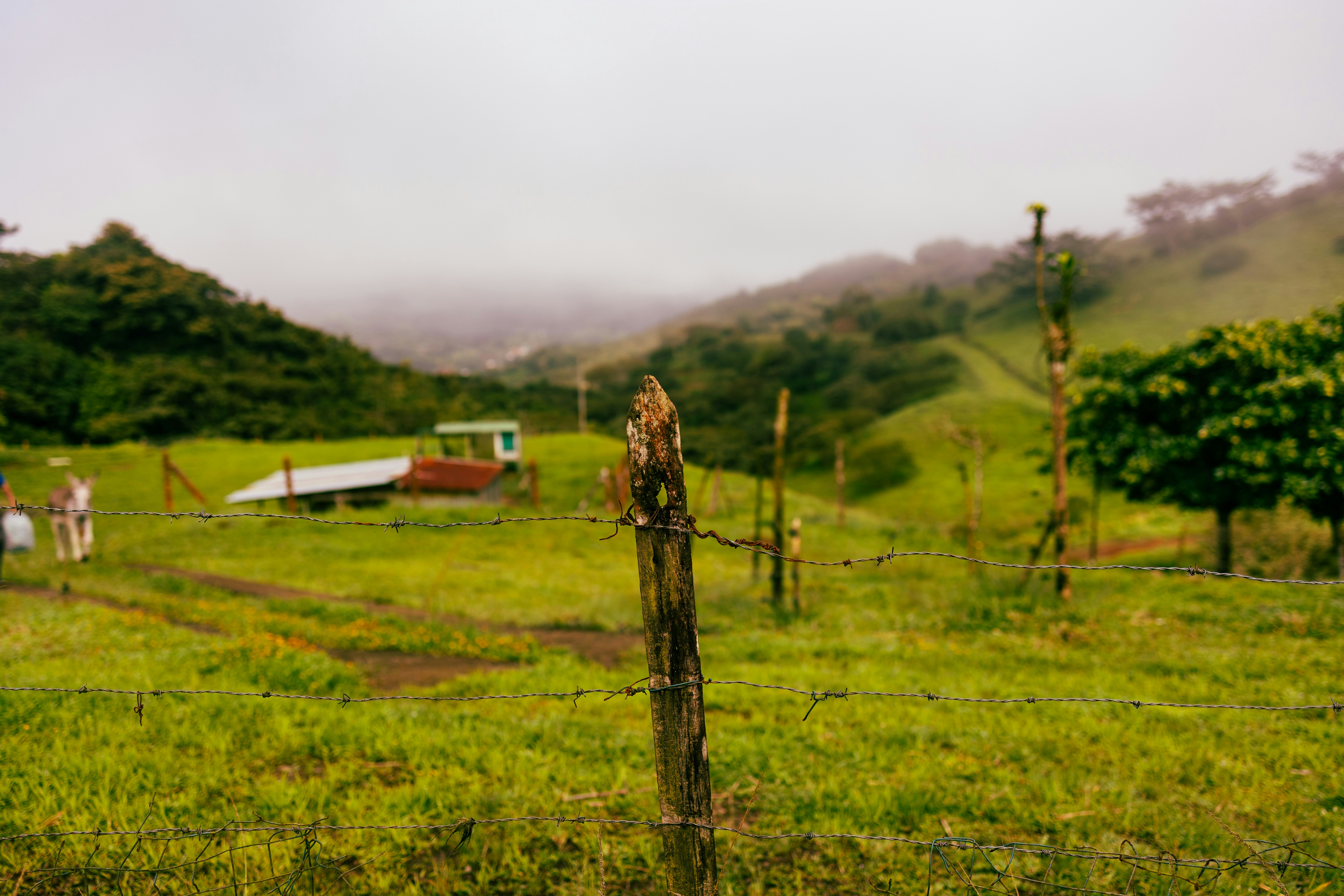 Grassy hills and a building in misty weather.