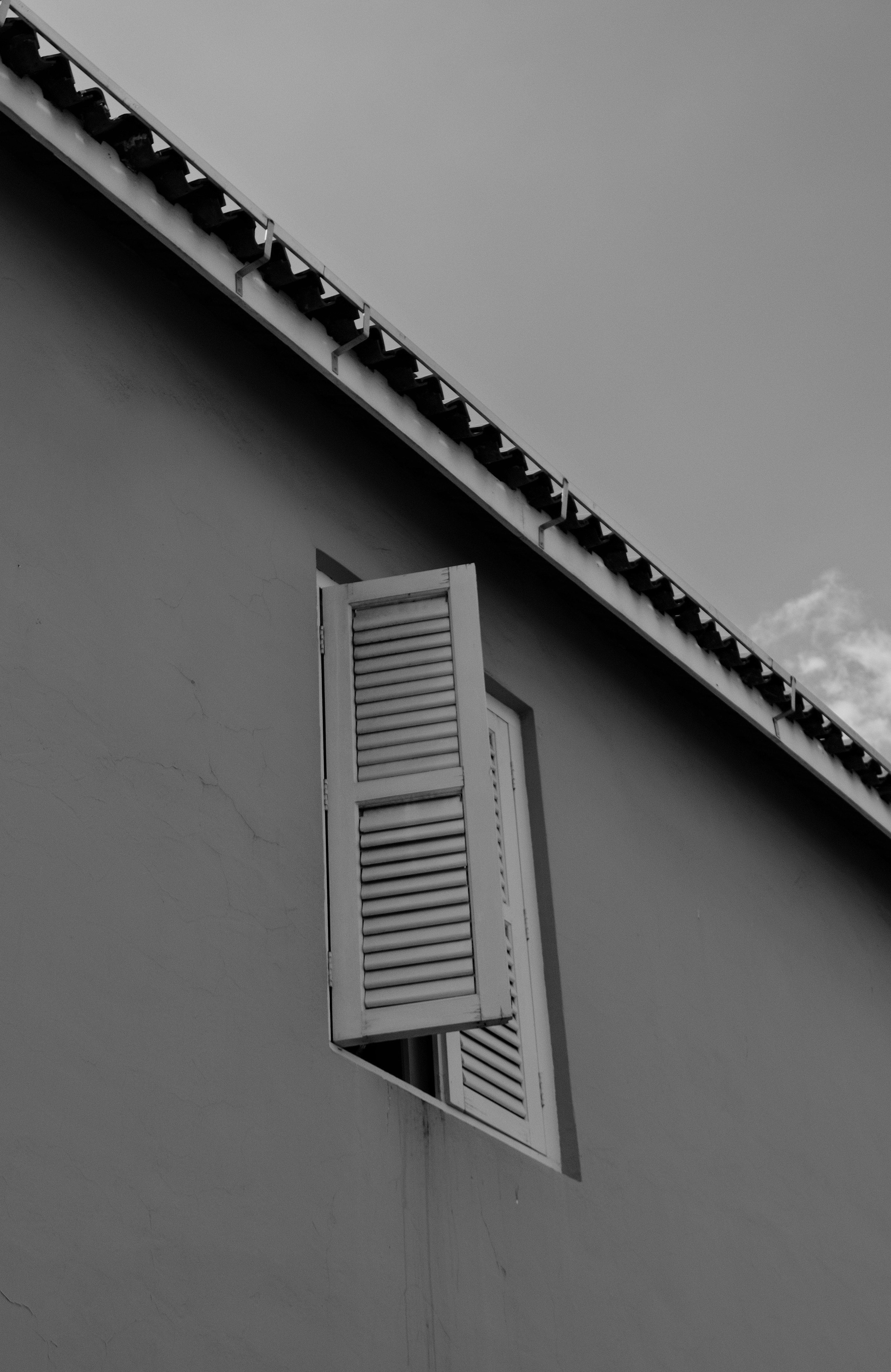 Whispers of the Past: A Window to HistoryMuhammad Faris