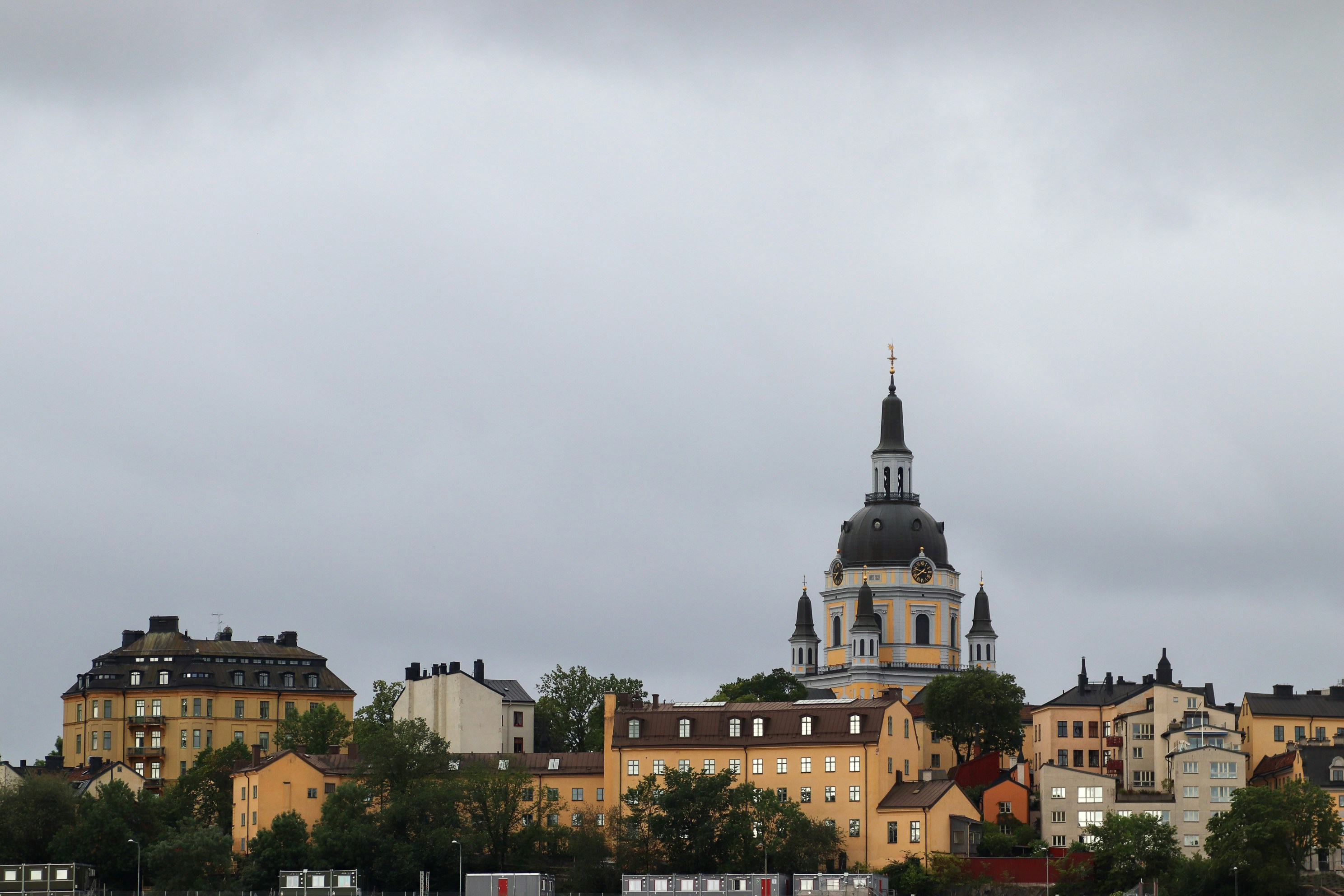 Photo by Tanya Barrow with Canon EOS 77D