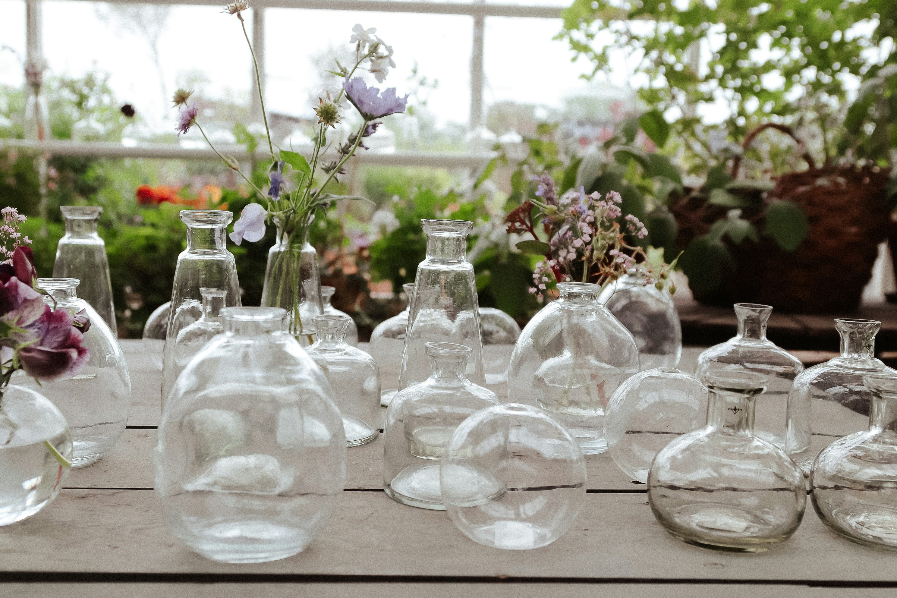 Vases with flowers sit on a table.