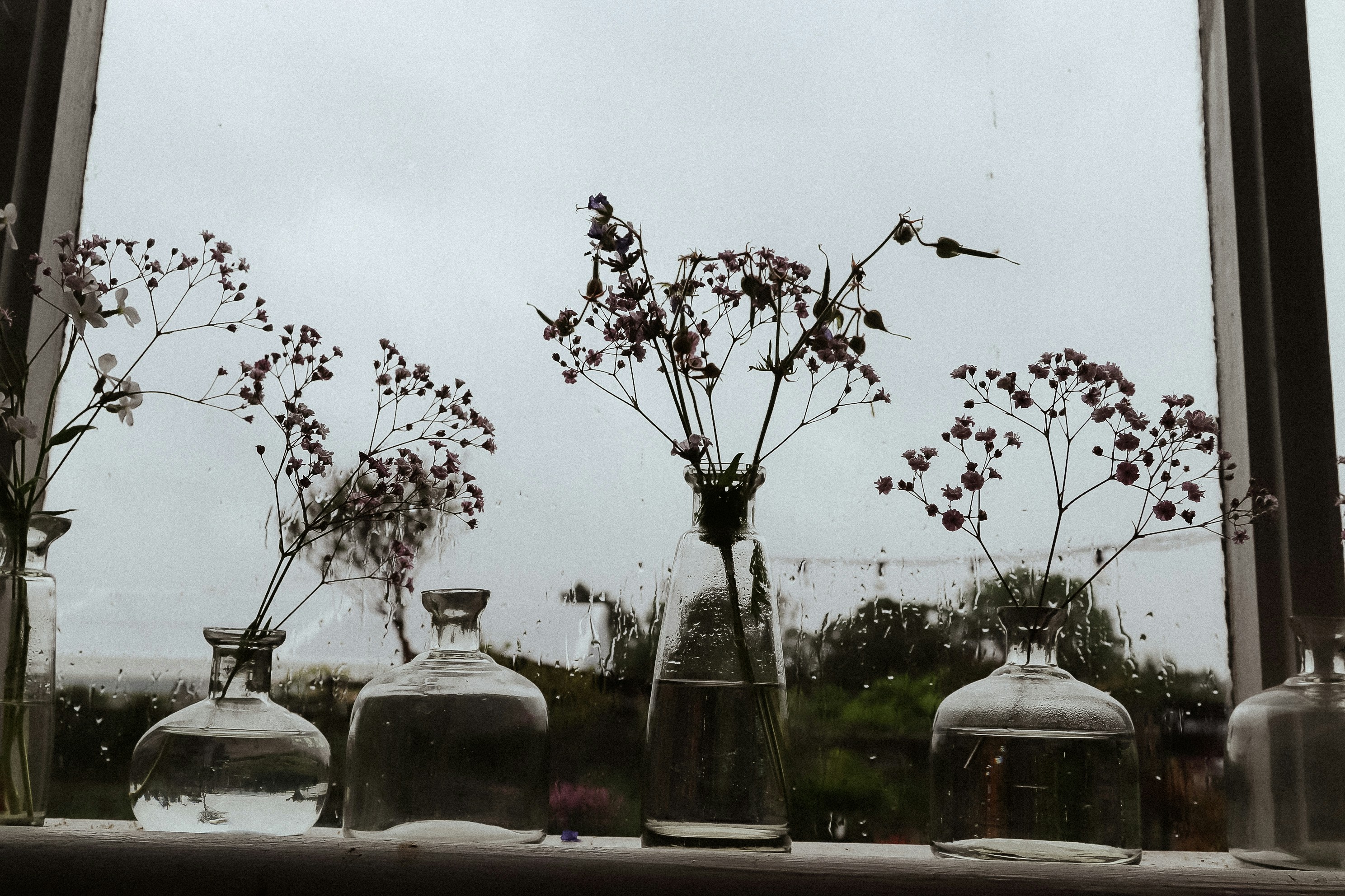 Flowers in vases sit in a window.
