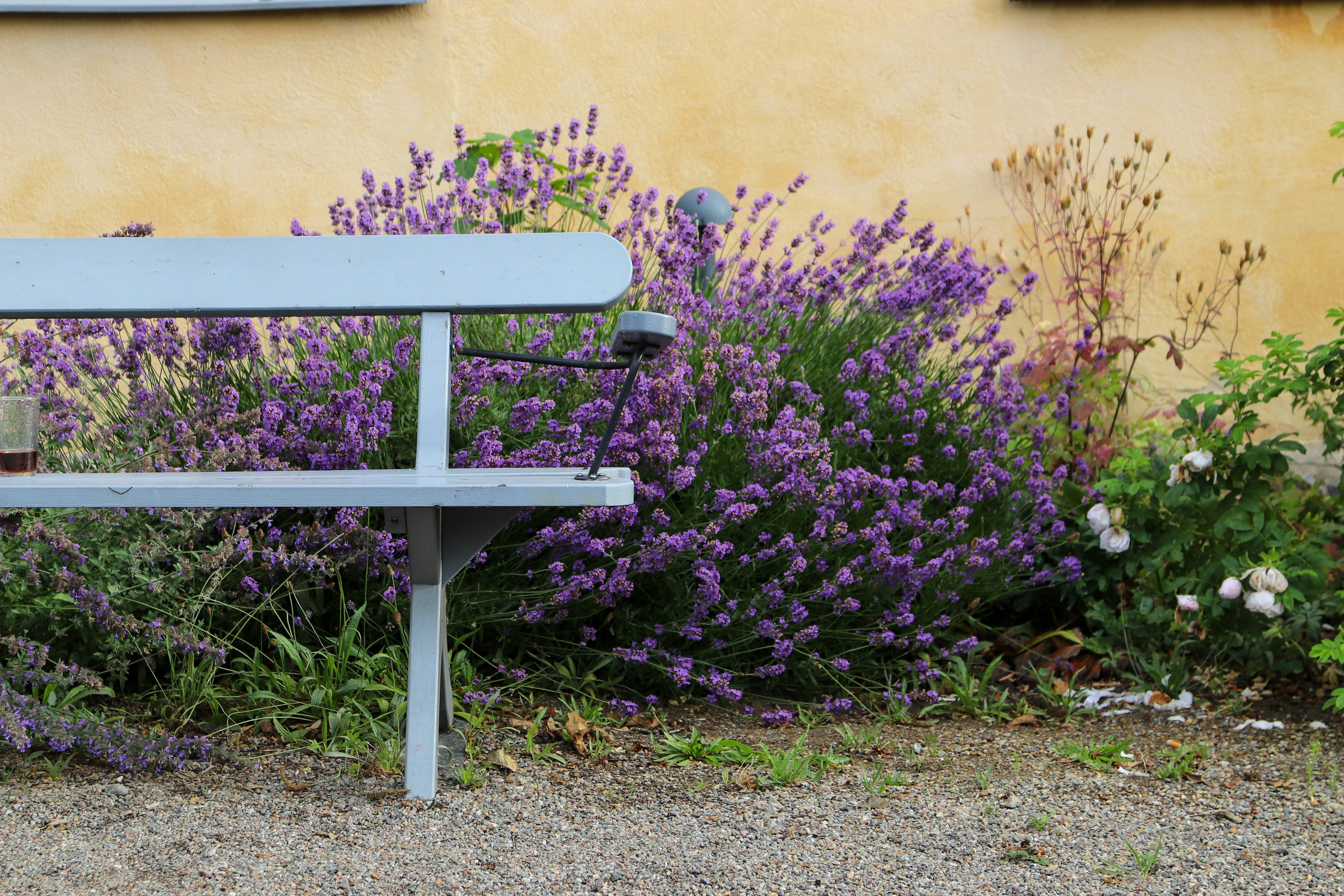 Whispers of Lavender: A Serene Retreat