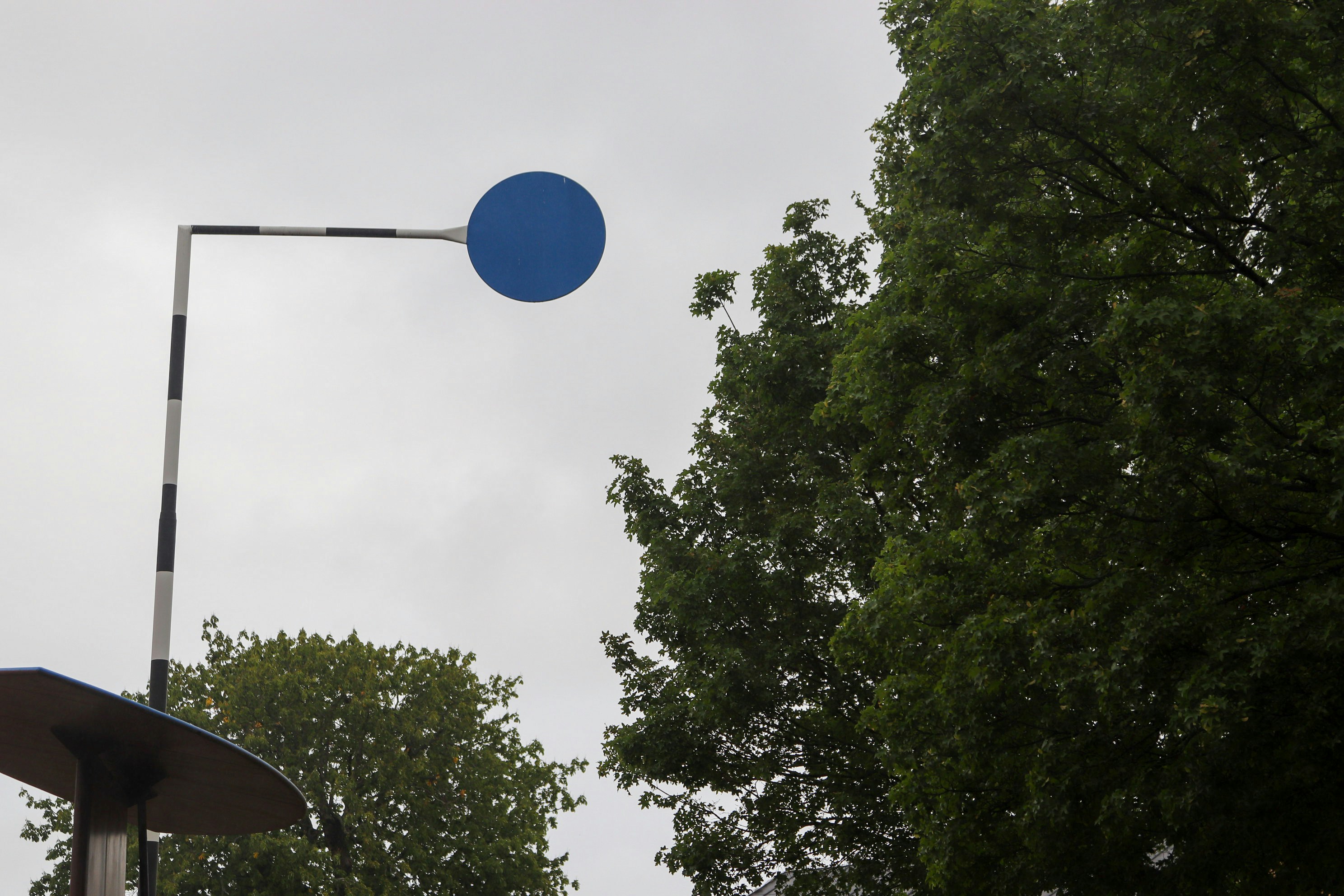 Blue disc mounted high on a pole, surrounded by lush green trees under a cloudy sky.