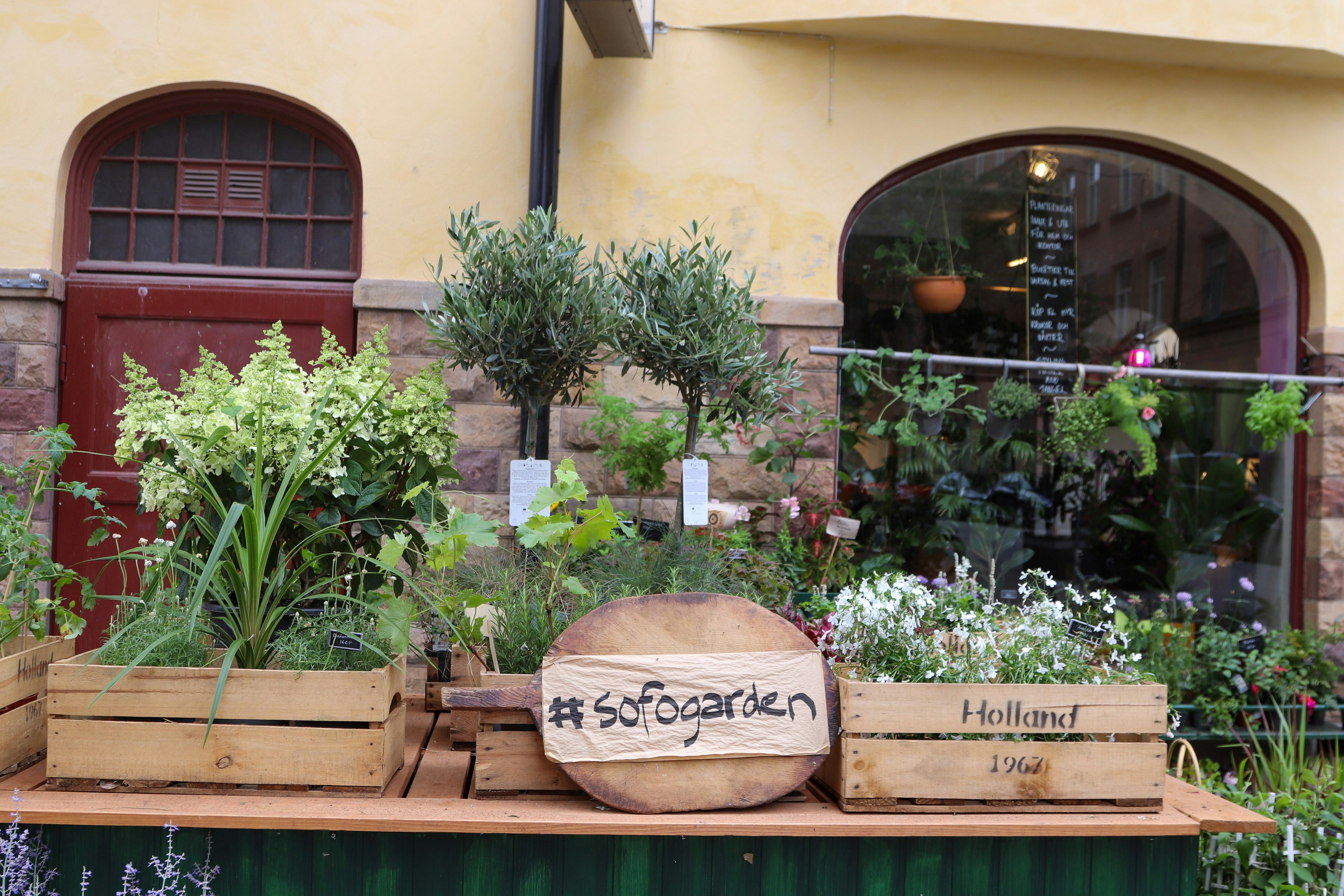 Ceramic barrel centerpiece among potted greenery on a rustic shopfront display