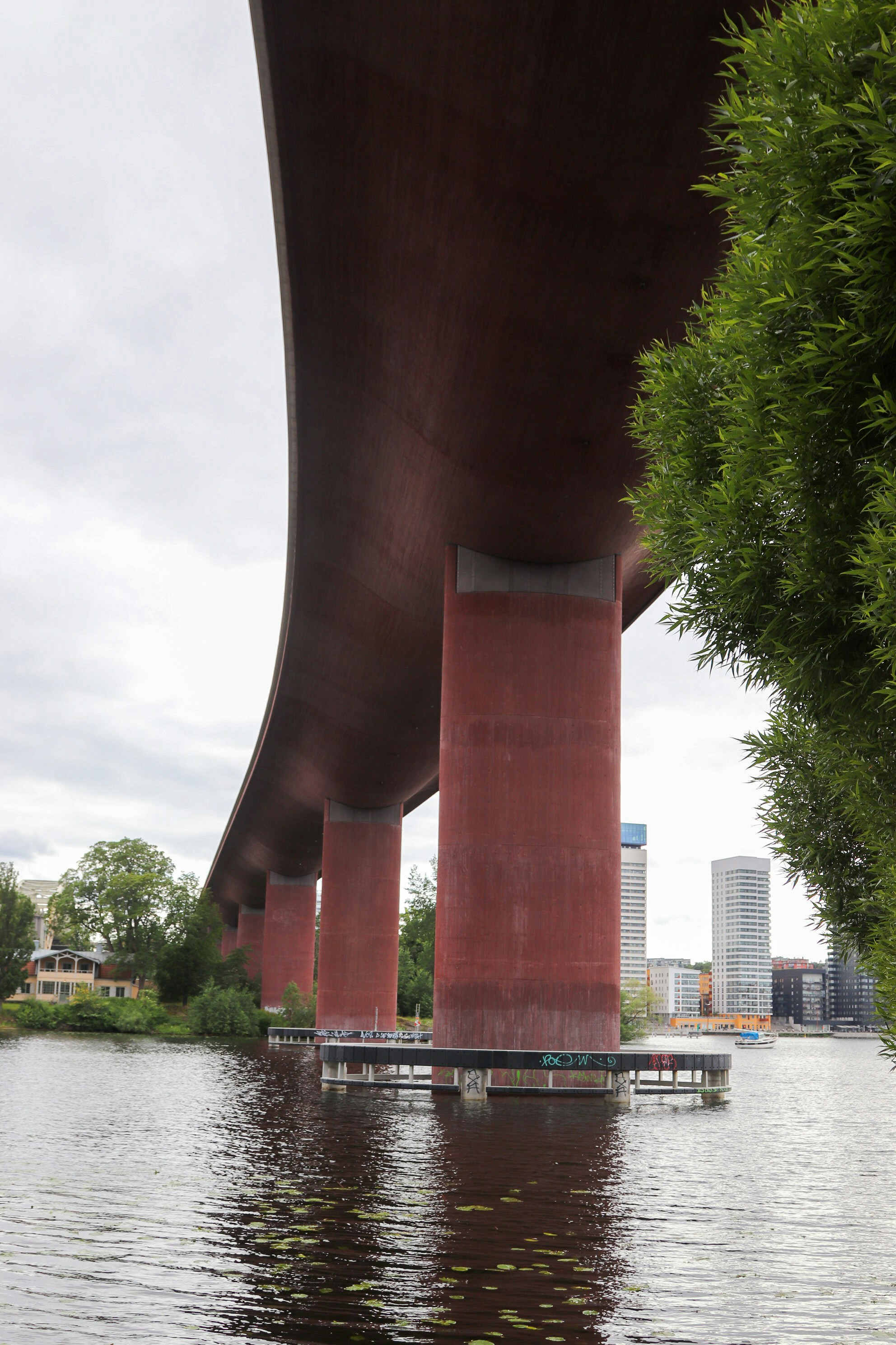A modern bridge's sweeping underside framed by lush greenery and urban skyline reflections on water.