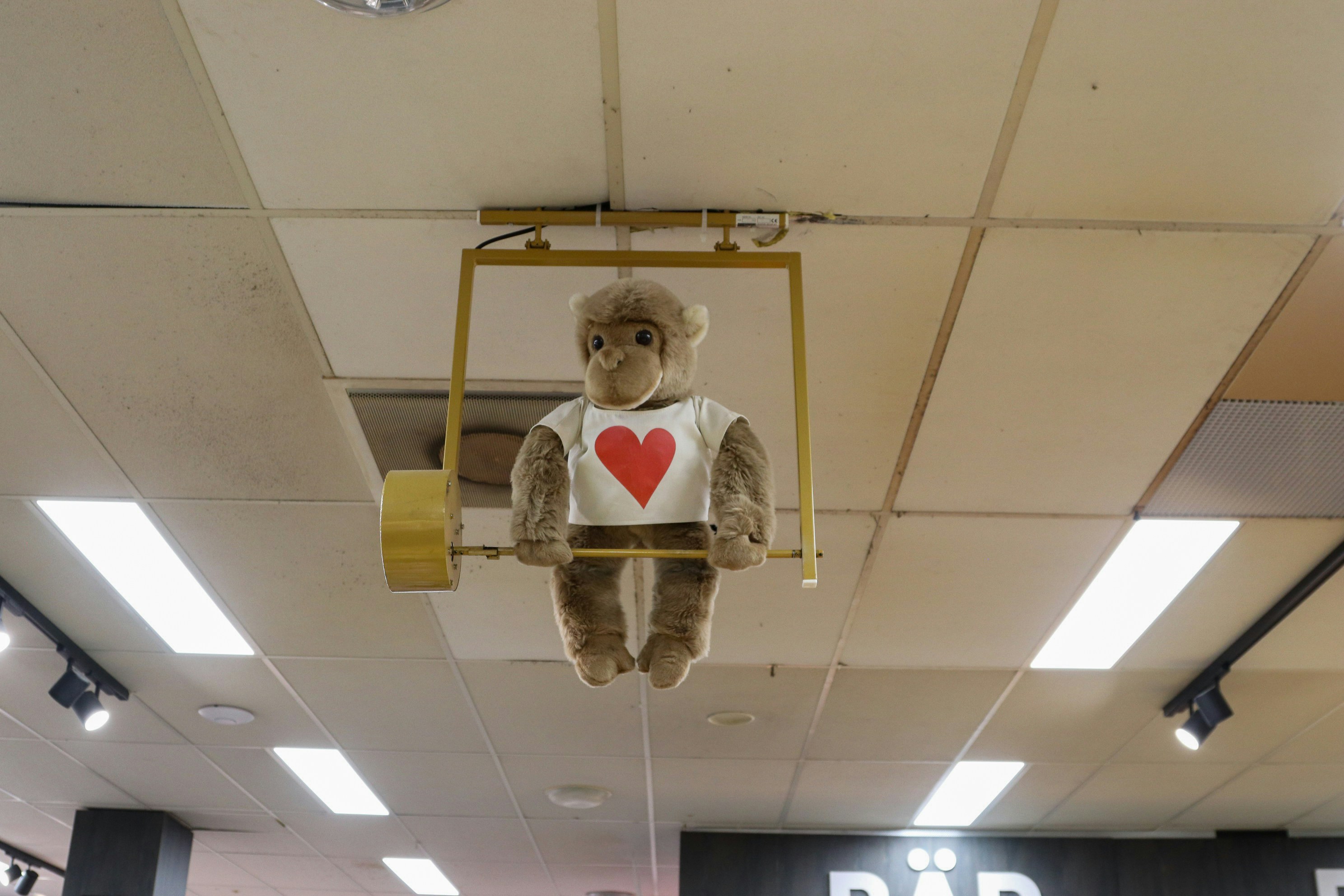 Suspended Sentiment: A Bear's Embrace