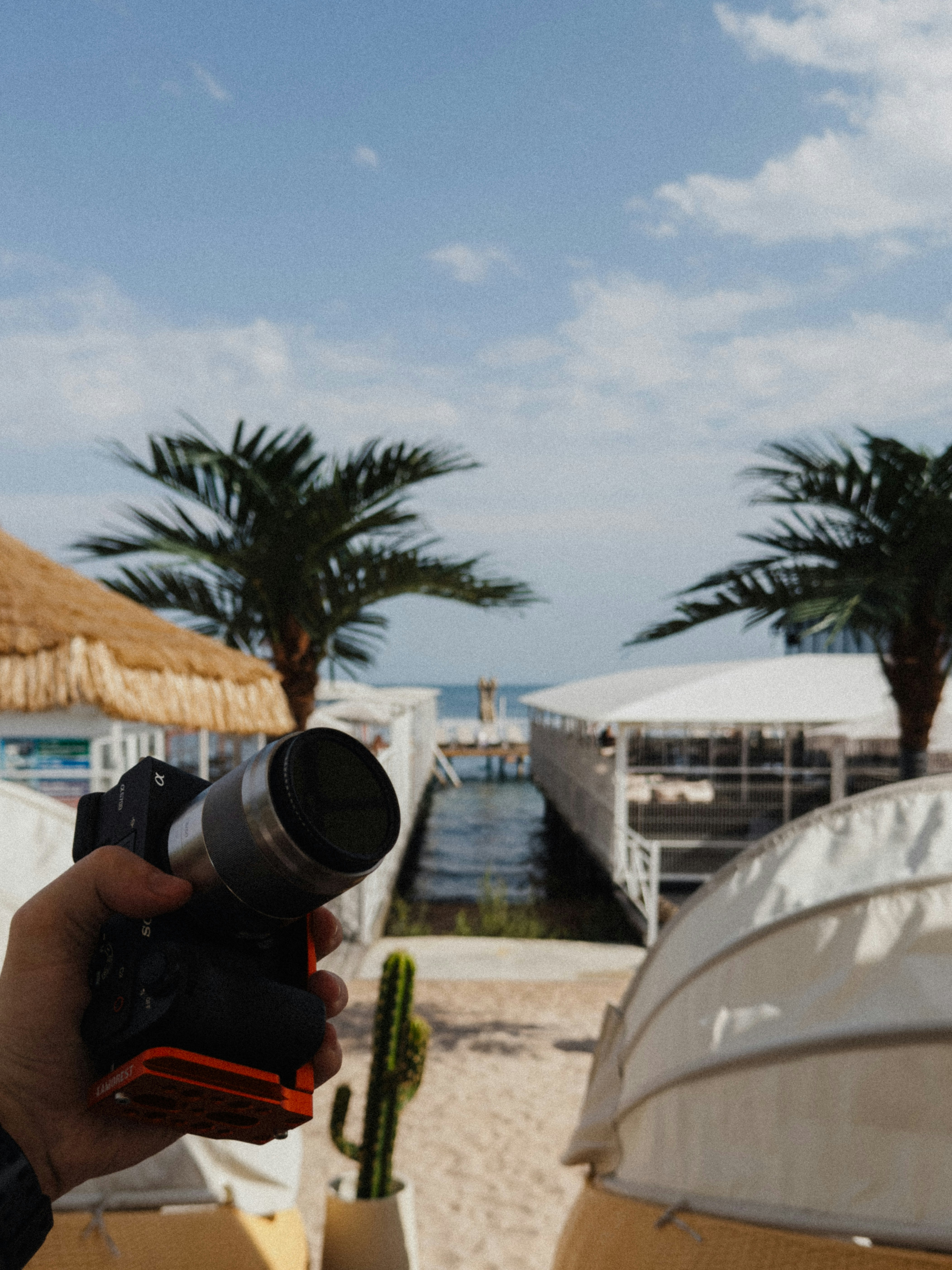 Framing the Perfect Shot: A Photographer's Perspective