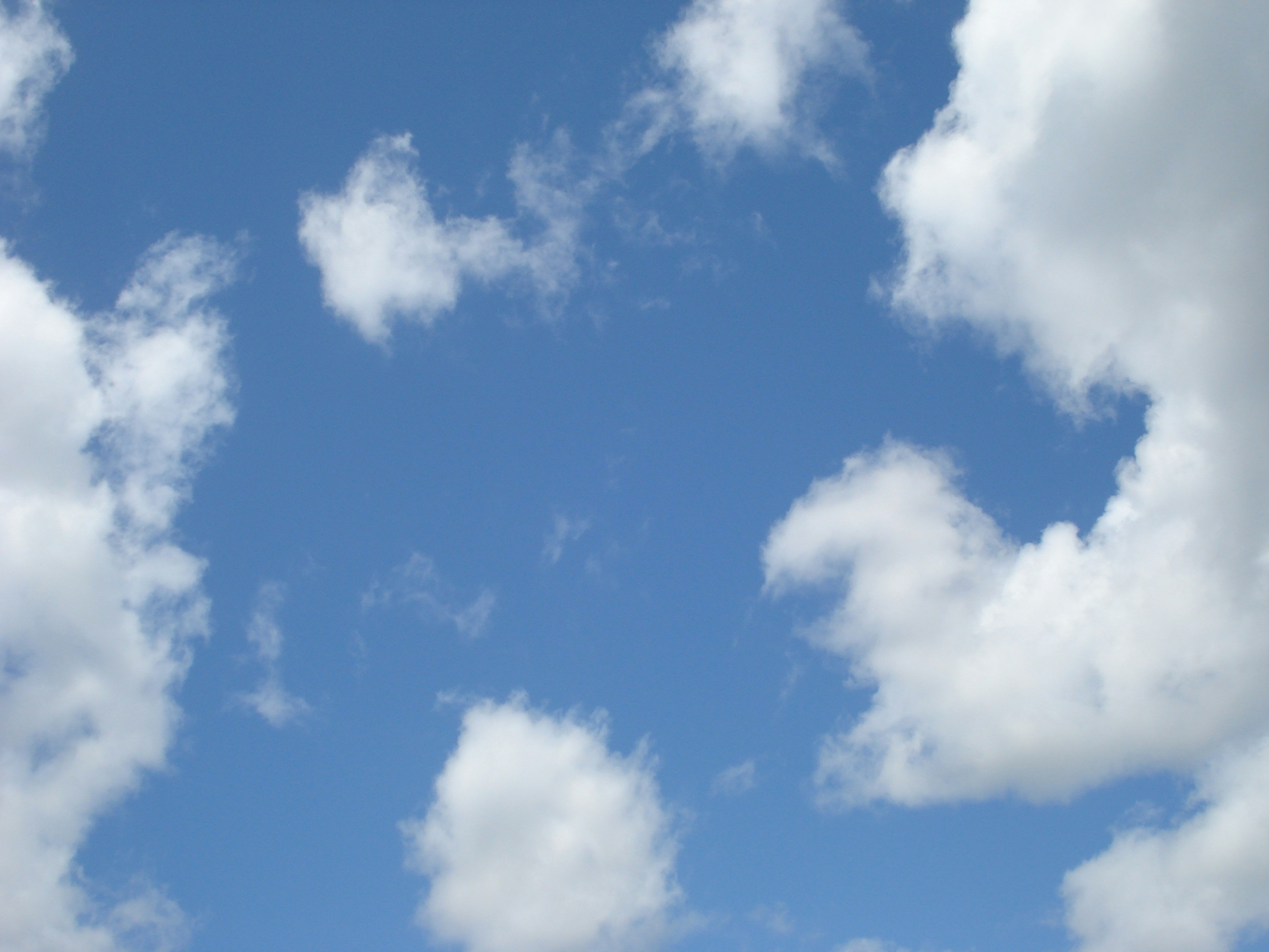 Fluffy white clouds drift across a vibrant blue sky, creating a serene and tranquil atmosphere.