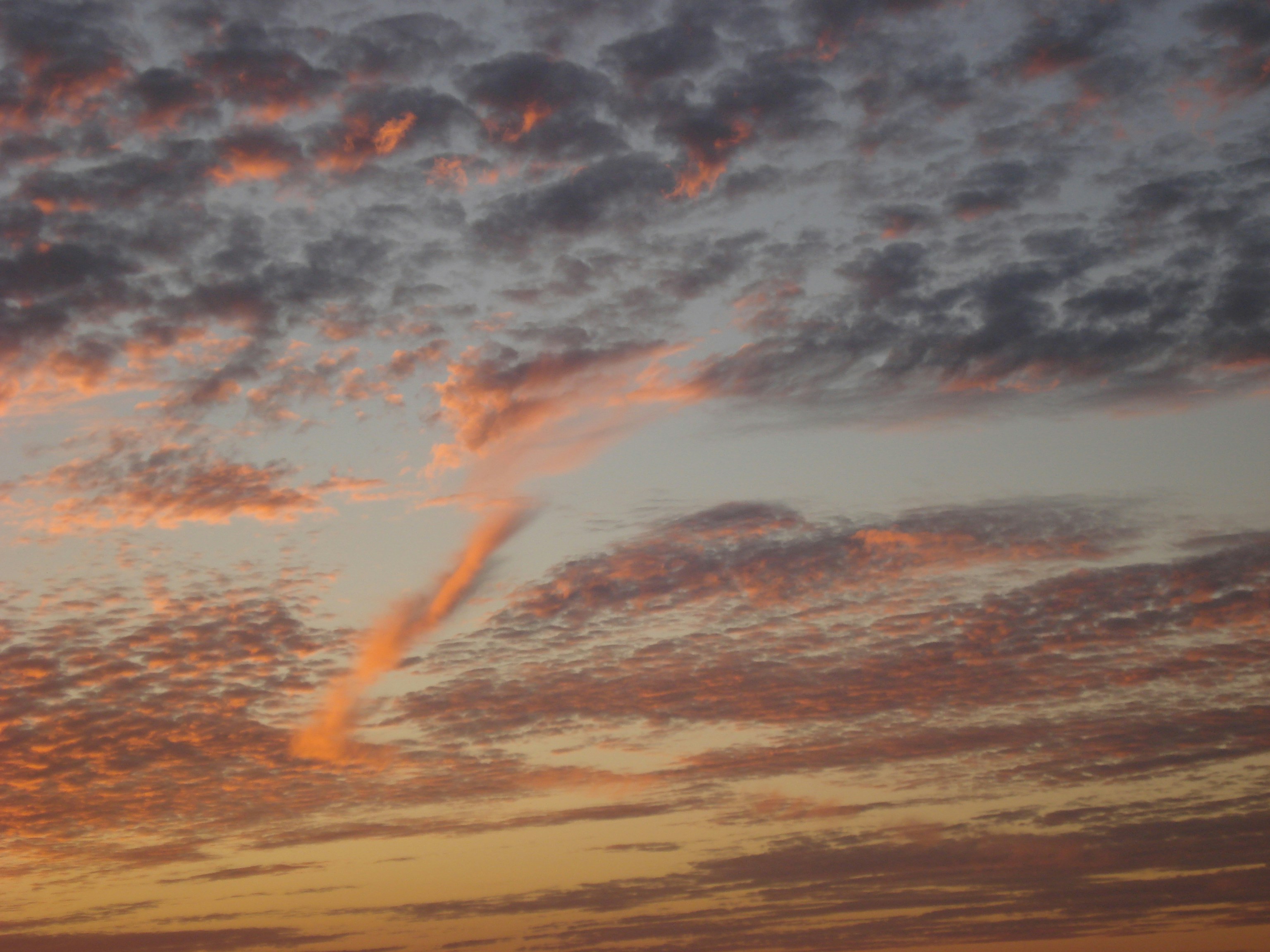 Sunset sky photograph with layered orange and gold clouds over a calm horizon. The image emphasizes warm tonal gradients and the textured patterns of high-altitude clouds.