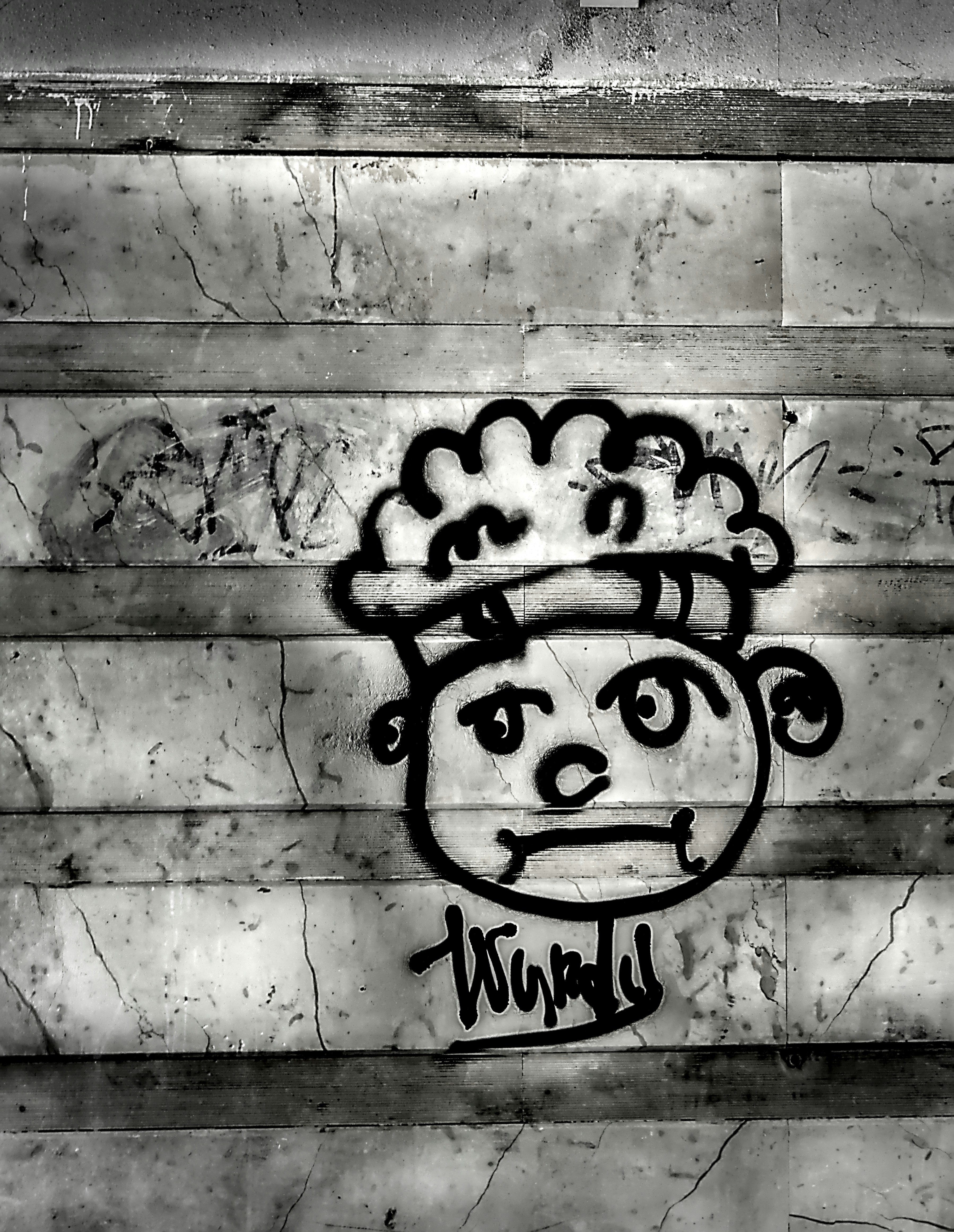 Urban Whimsy: A Graffiti Portrait