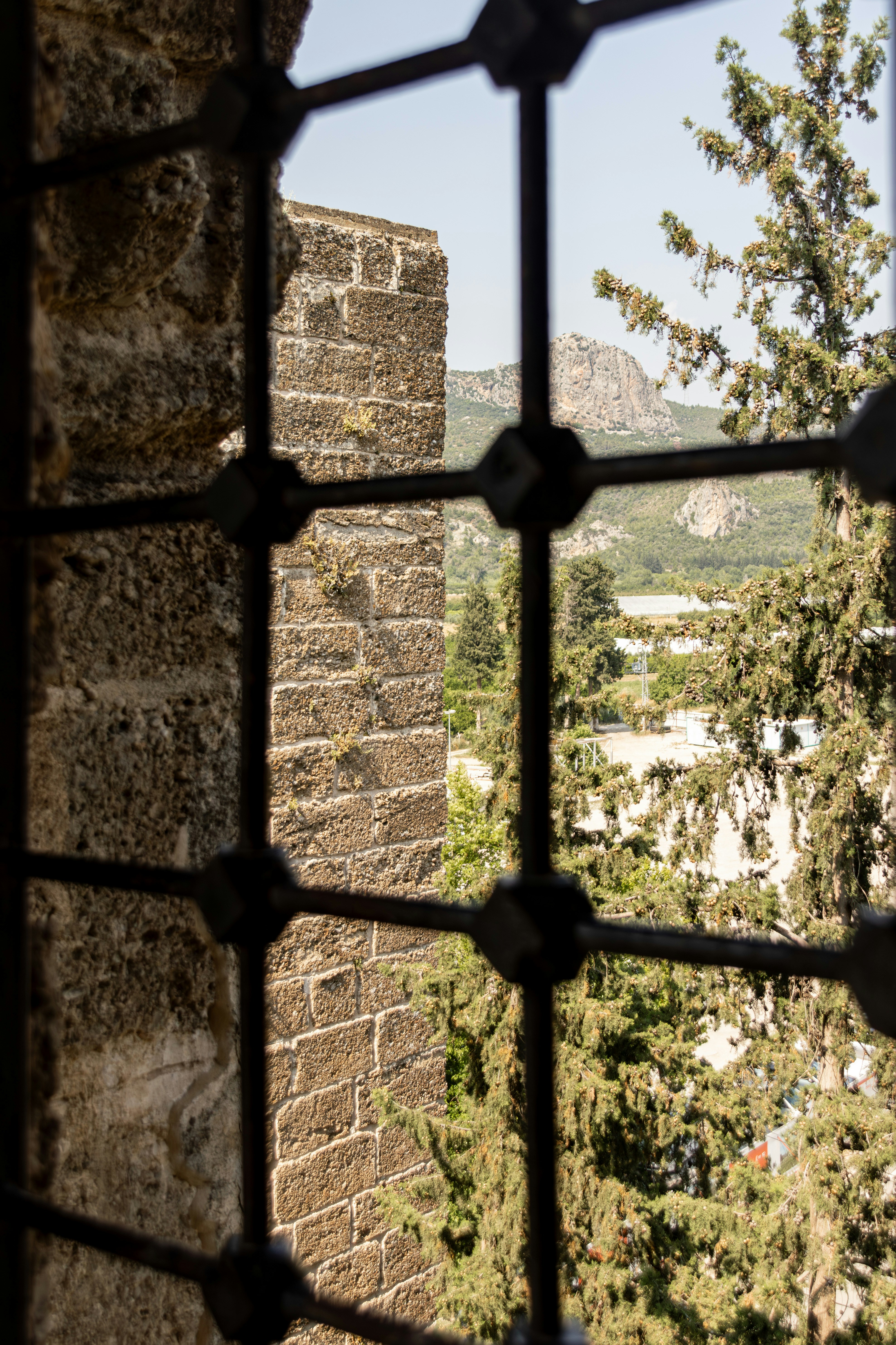 Framed Nature: A View Through Time