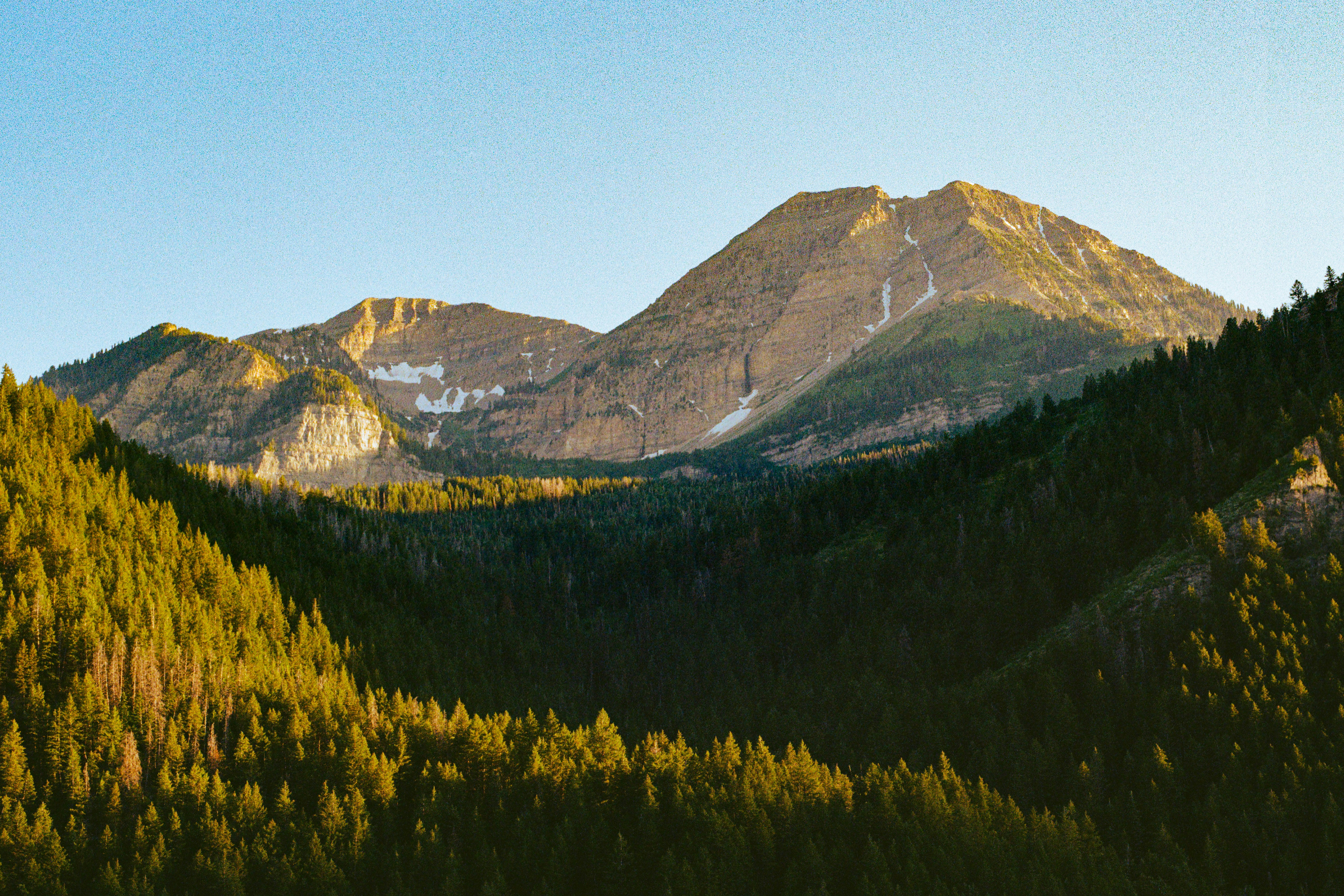 Mountains rise above a dense forest. photo – Free Wallpaper Image on ...