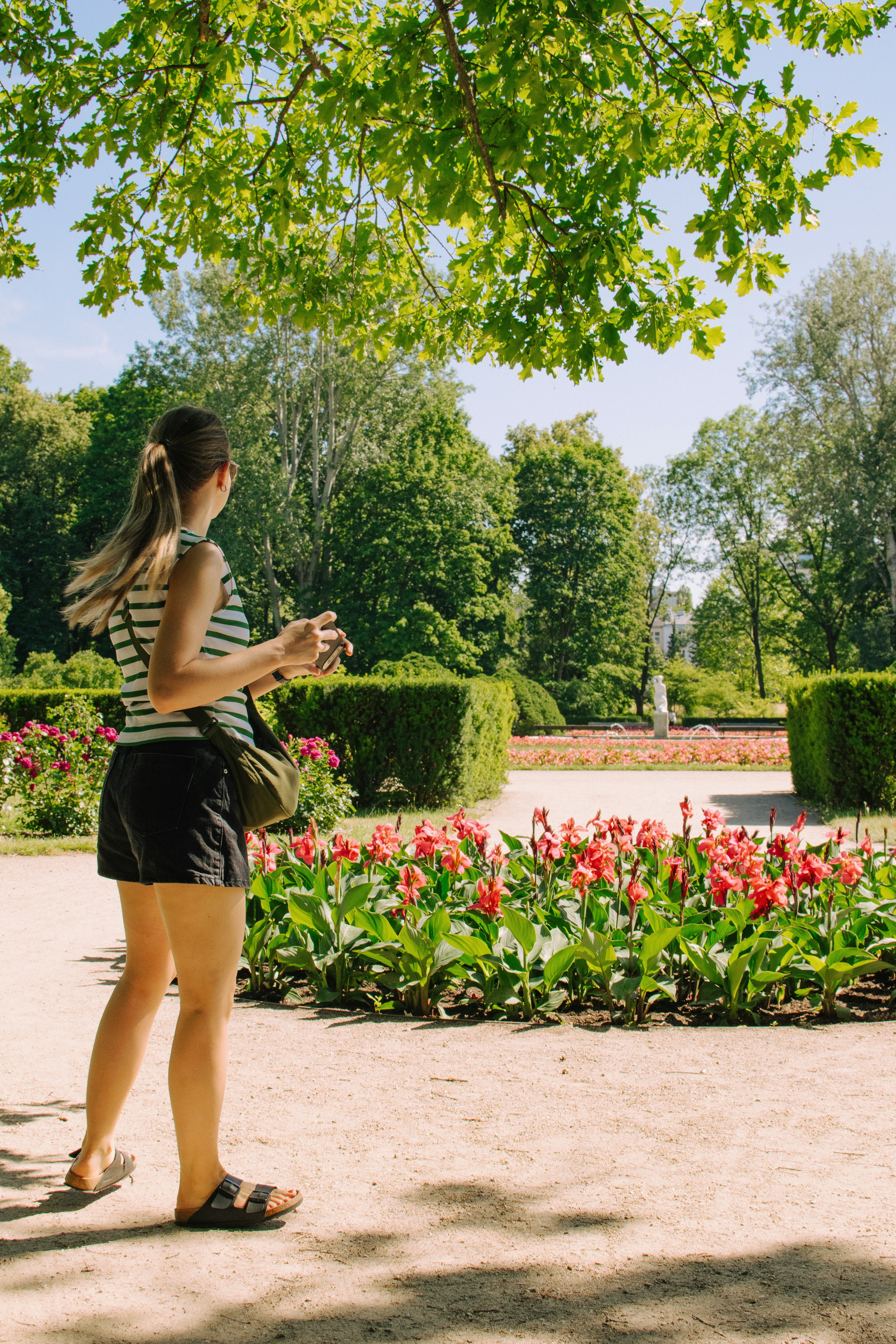 A Stroll Through Floral Serenity