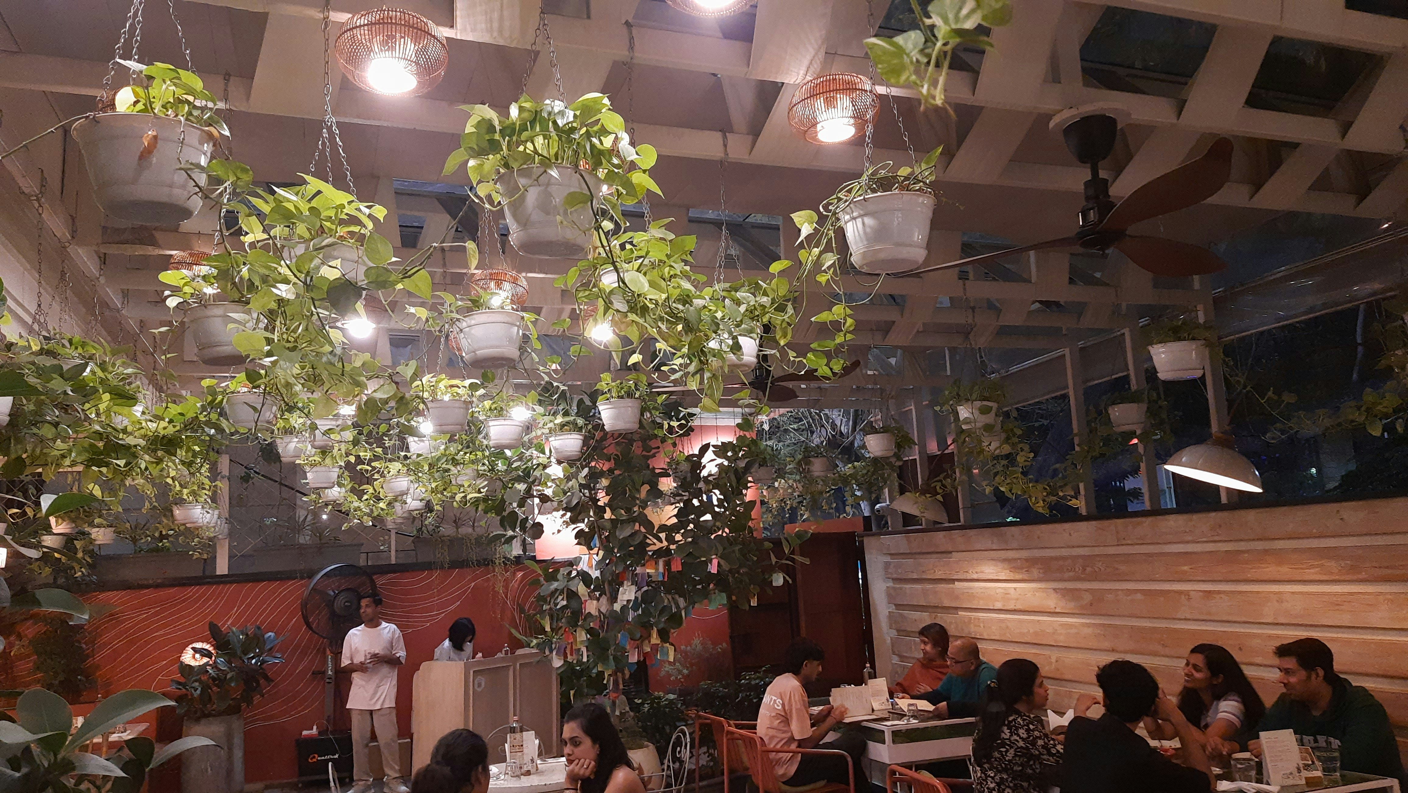 A vibrant restaurant interior adorned with hanging plants and warm lighting, creating an inviting atmosphere for diners.