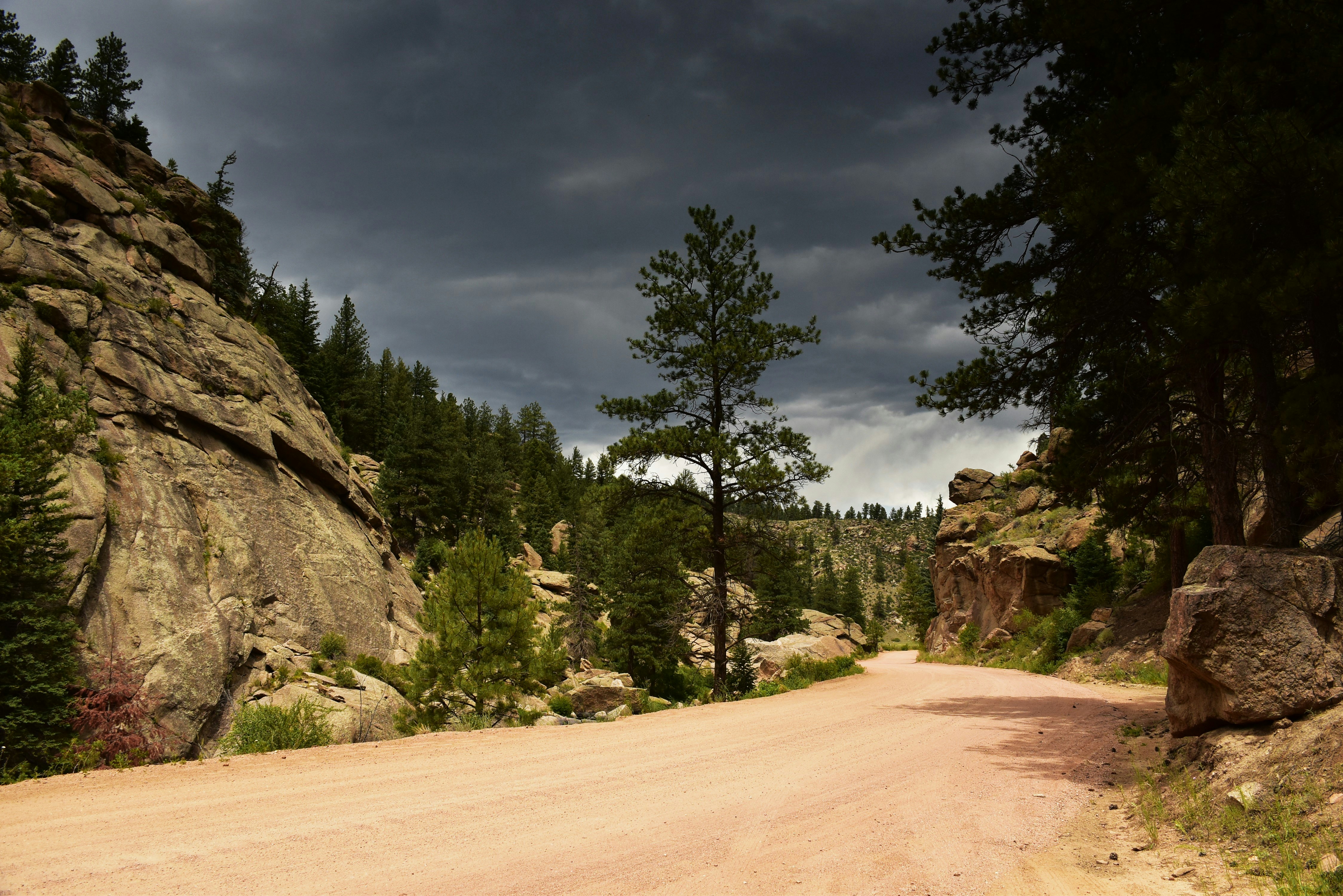 Winding Path Through Nature's Embrace
