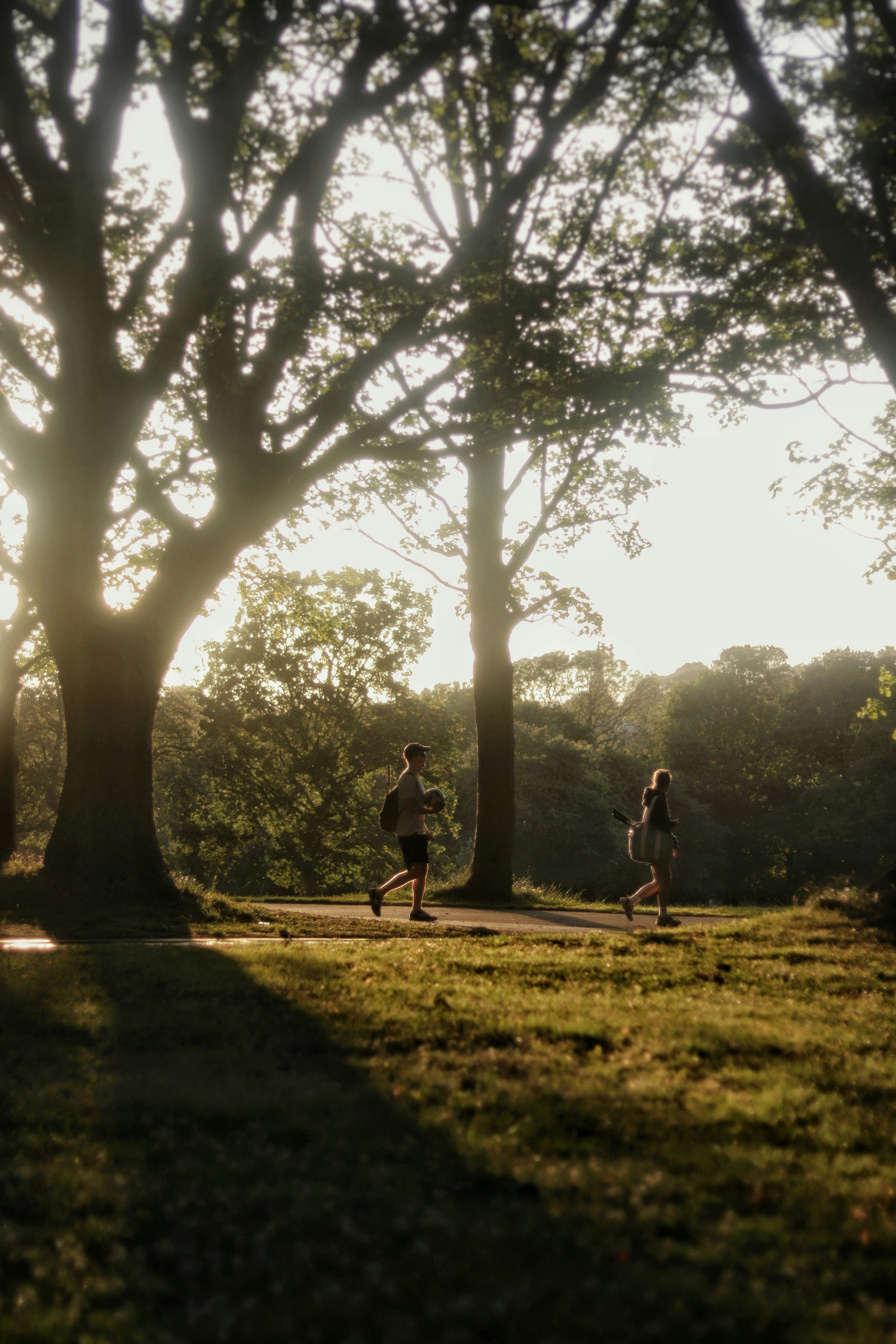 Chasing Shadows: A Dance of Light and Motion