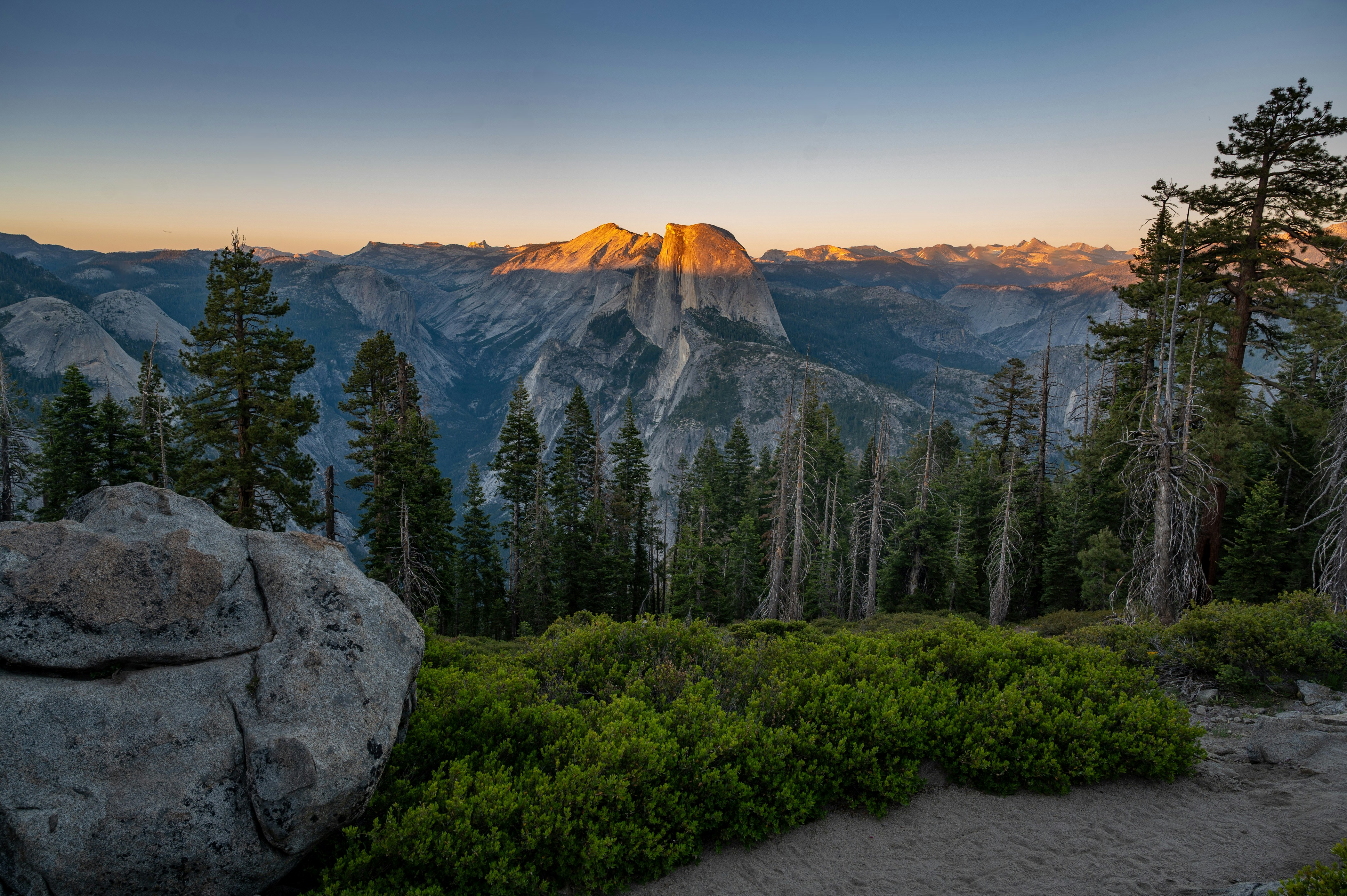 Gilded Peak Over the Sierra Pines at Dusk