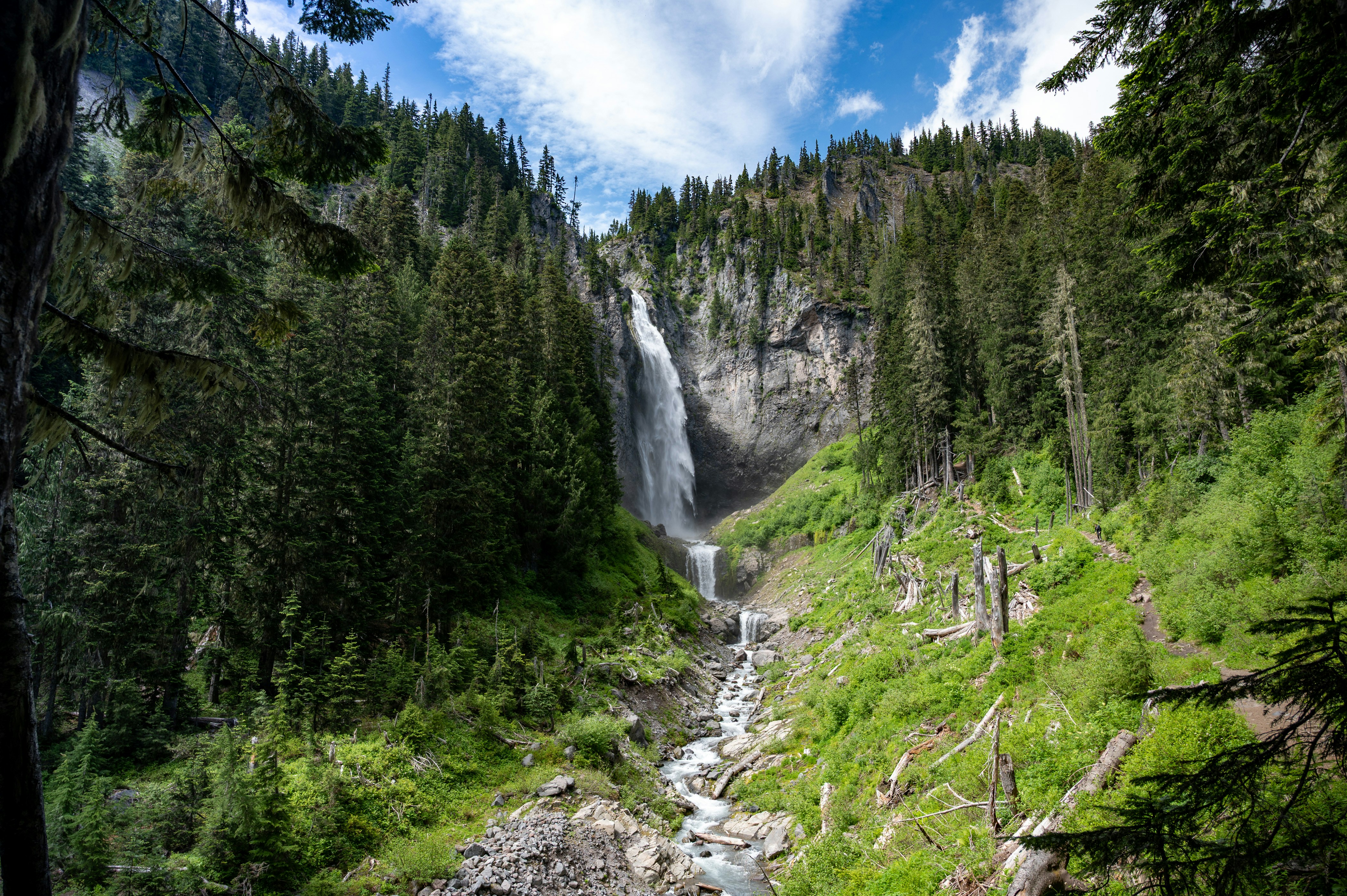 Majestic waterfall cascading down rocky cliffs surrounded by lush greenery and towering trees. A gentle stream flows beneath, enhancing the tranquil atmosphere.