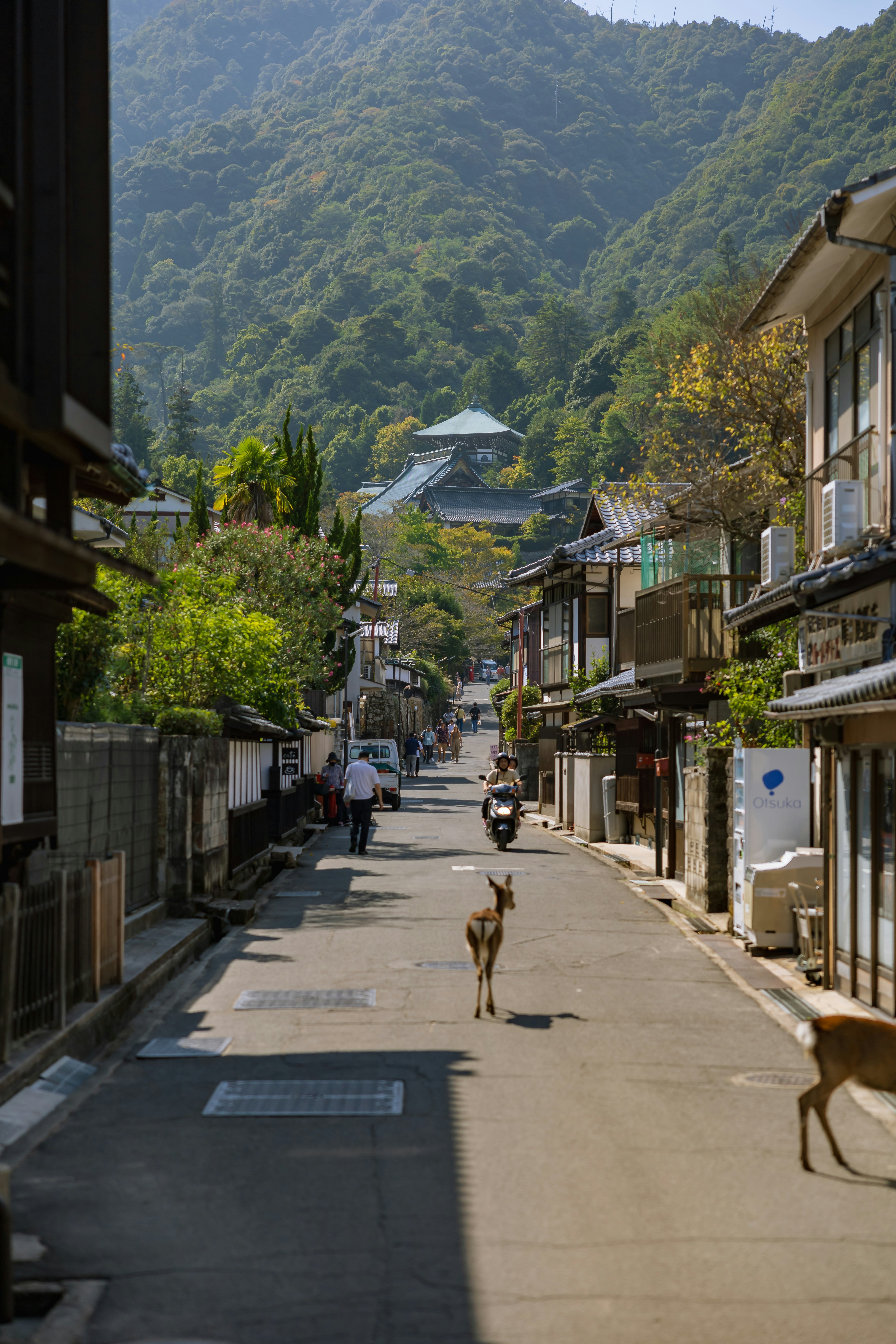 Deer stroll down a street with buildings and mountains.