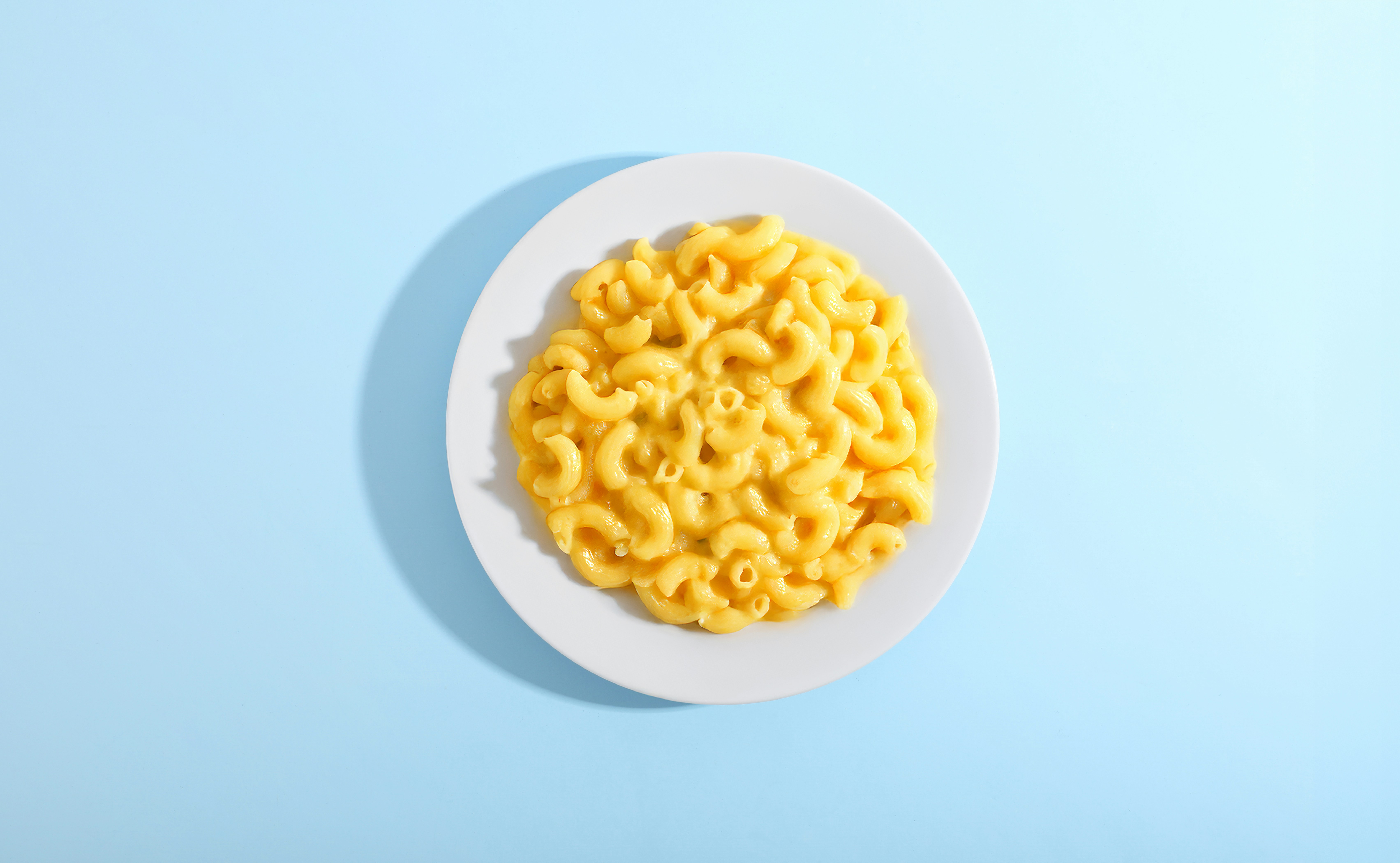 Mac and cheese served on a white plate.